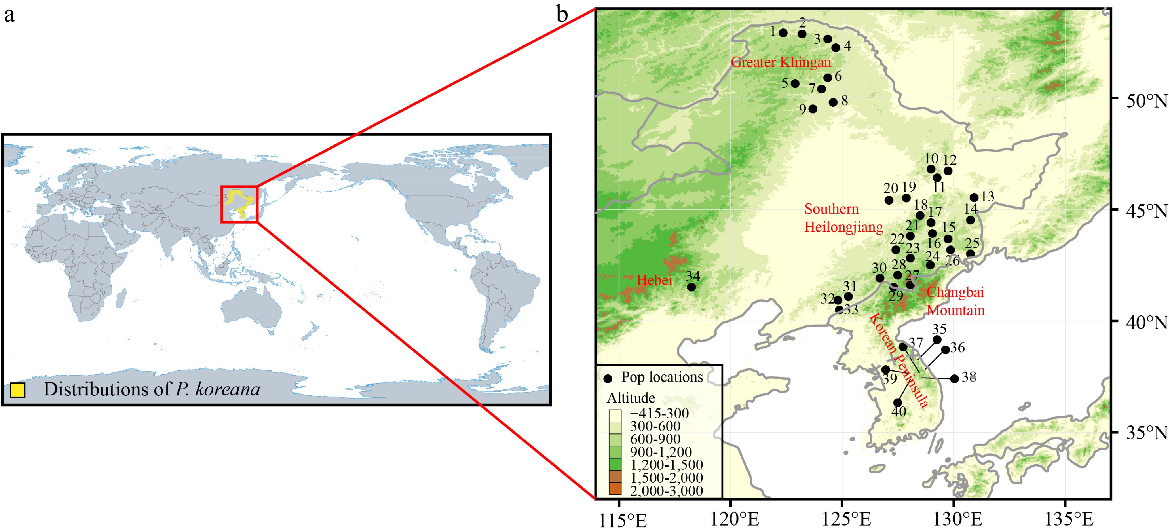 Phylogeography of Populus koreana reveals an unexpected glacial ...