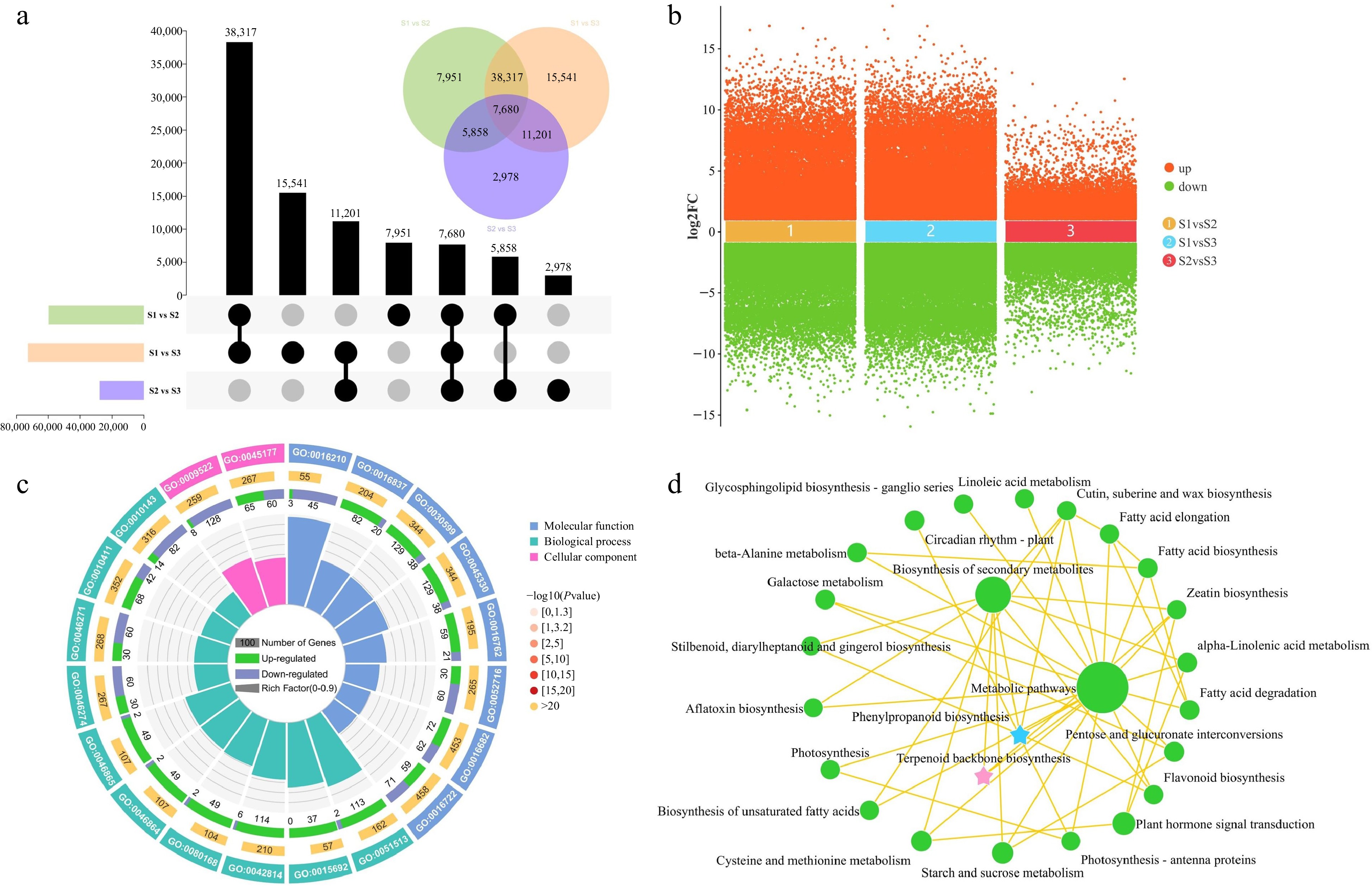 Deciphering aroma formation during flowering in nectar tree ( Tilia ...