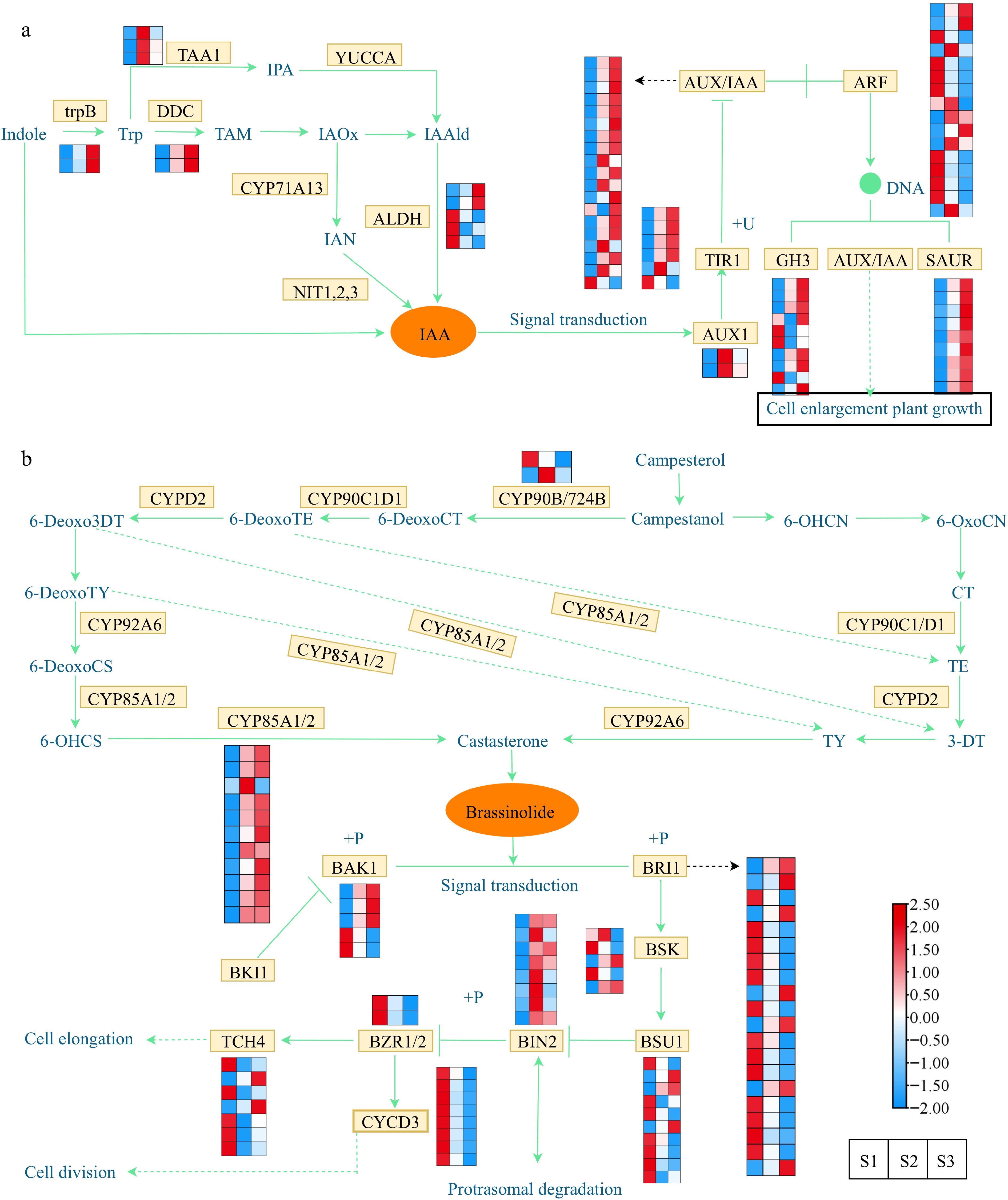 Deciphering aroma formation during flowering in nectar tree ( Tilia ...