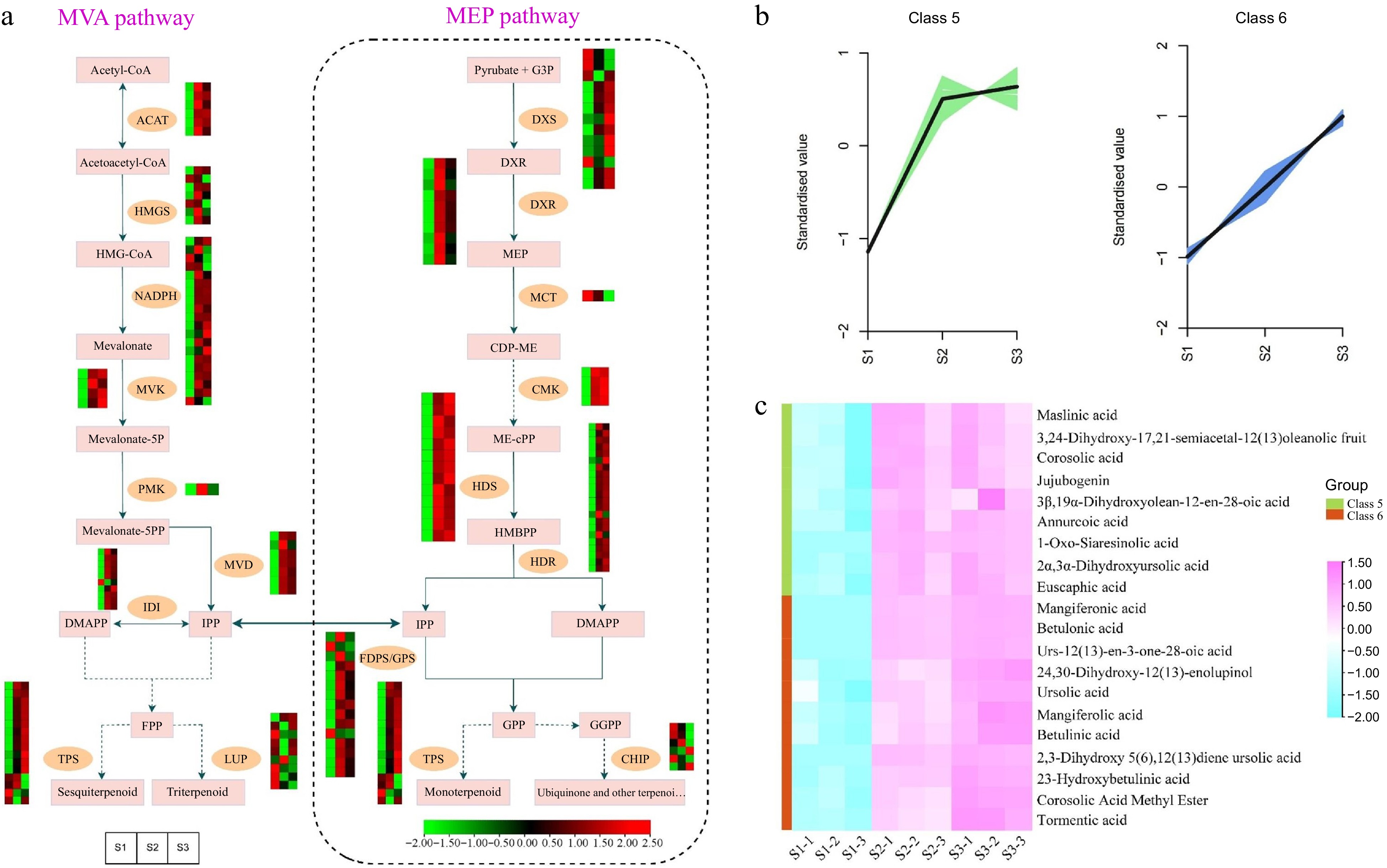Deciphering aroma formation during flowering in nectar tree ( Tilia ...