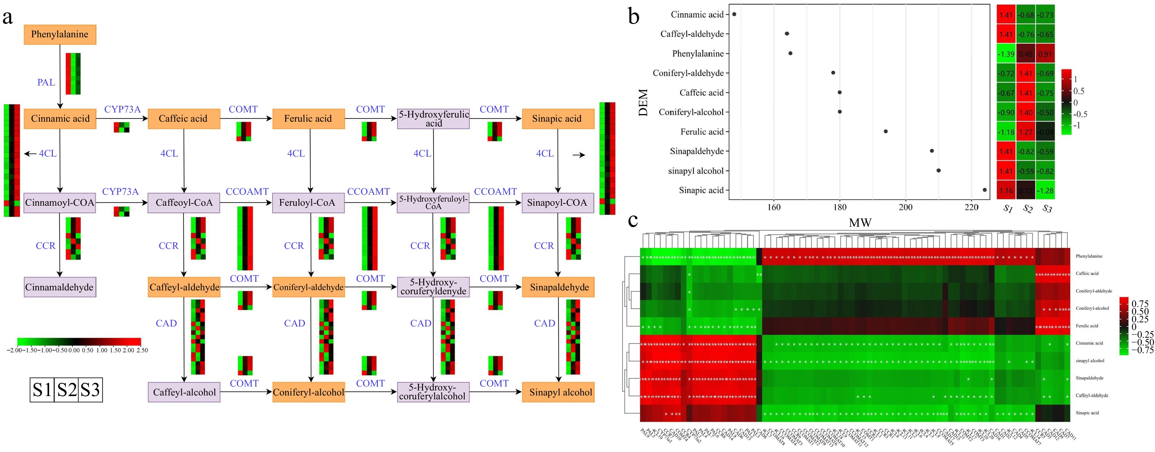Deciphering aroma formation during flowering in nectar tree ( Tilia ...