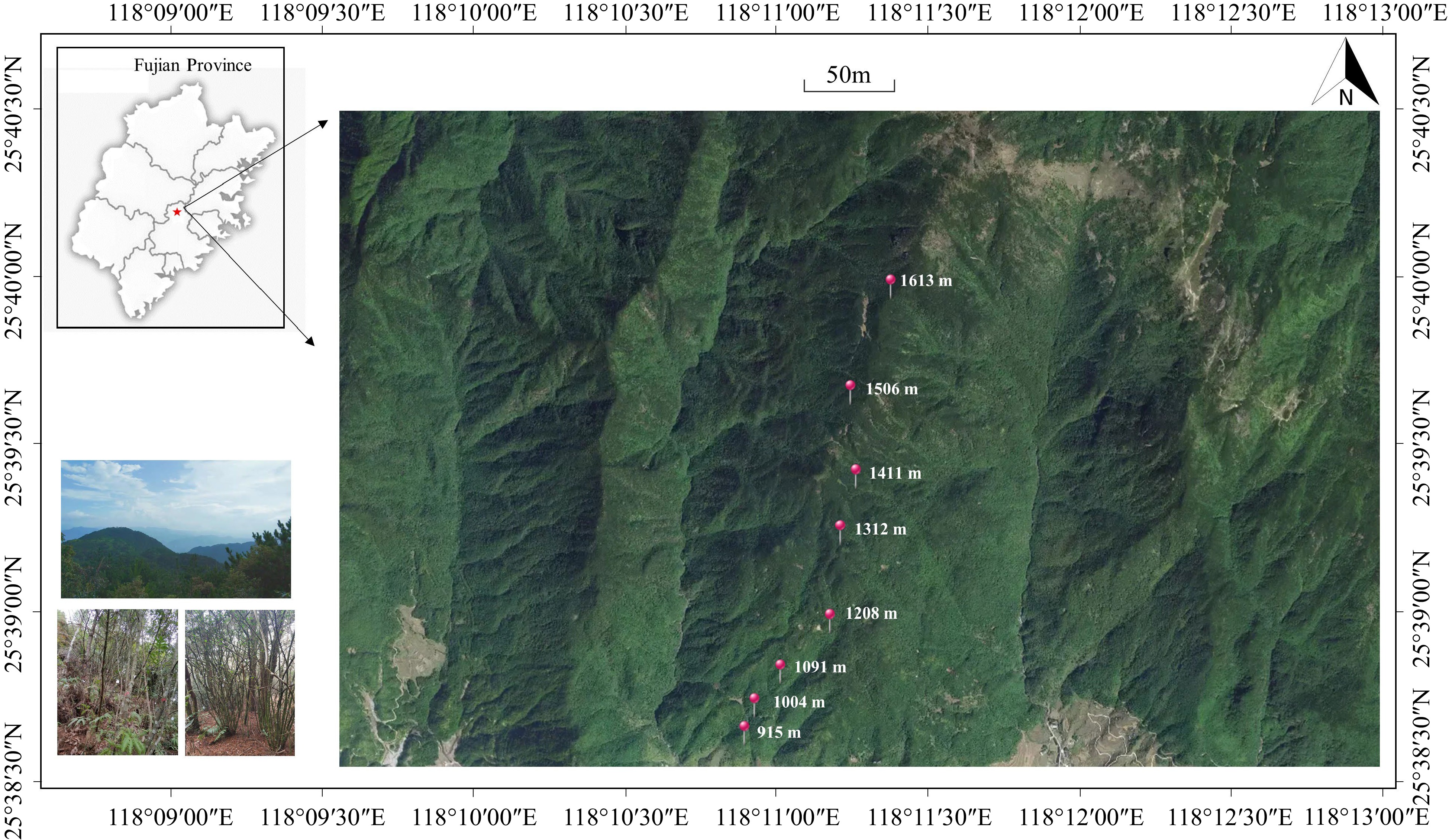 Environmental heterogeneity determines beta diversity and species ...