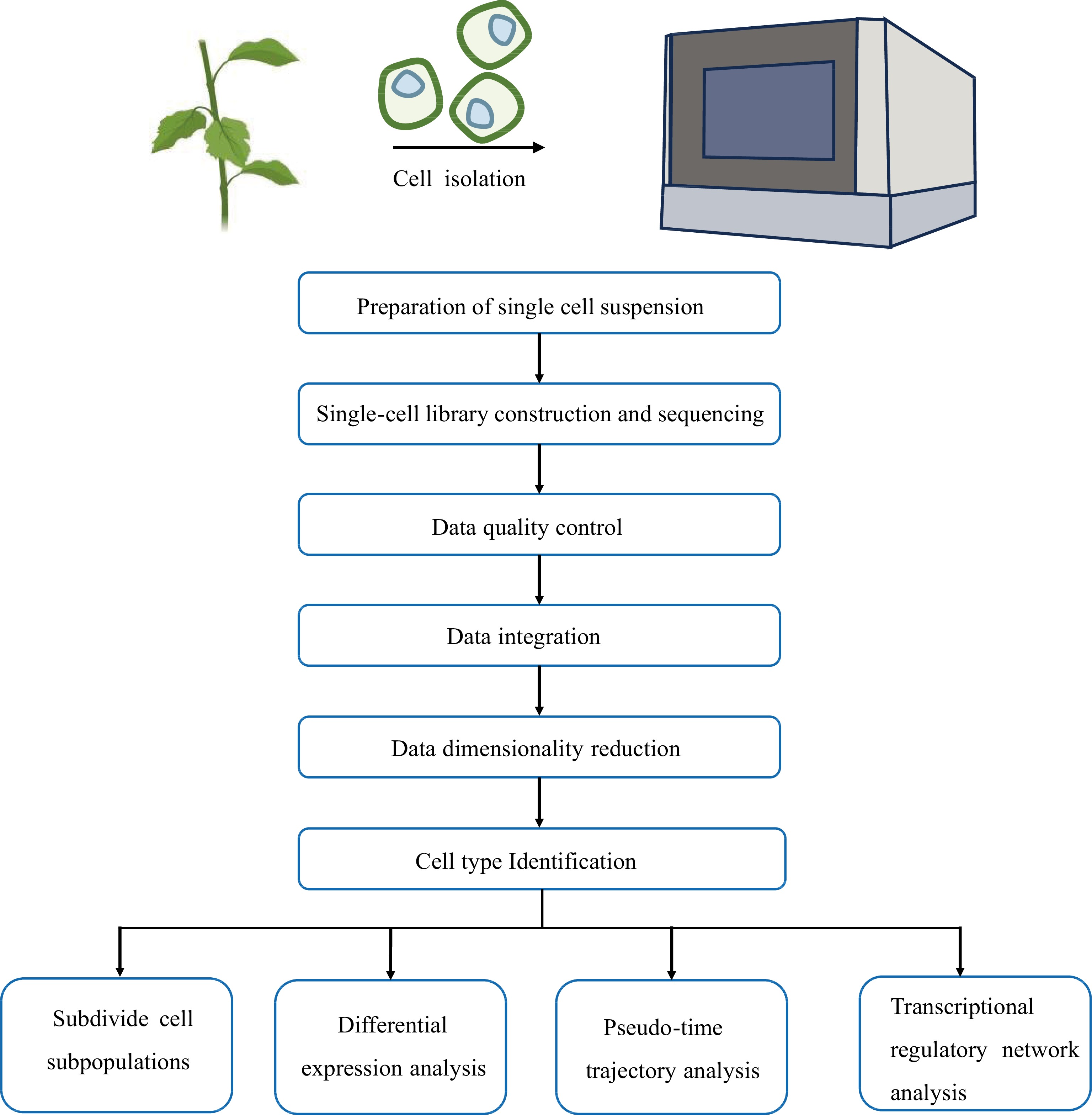 Application and prospects of single-cell and spatial omics technologies ...