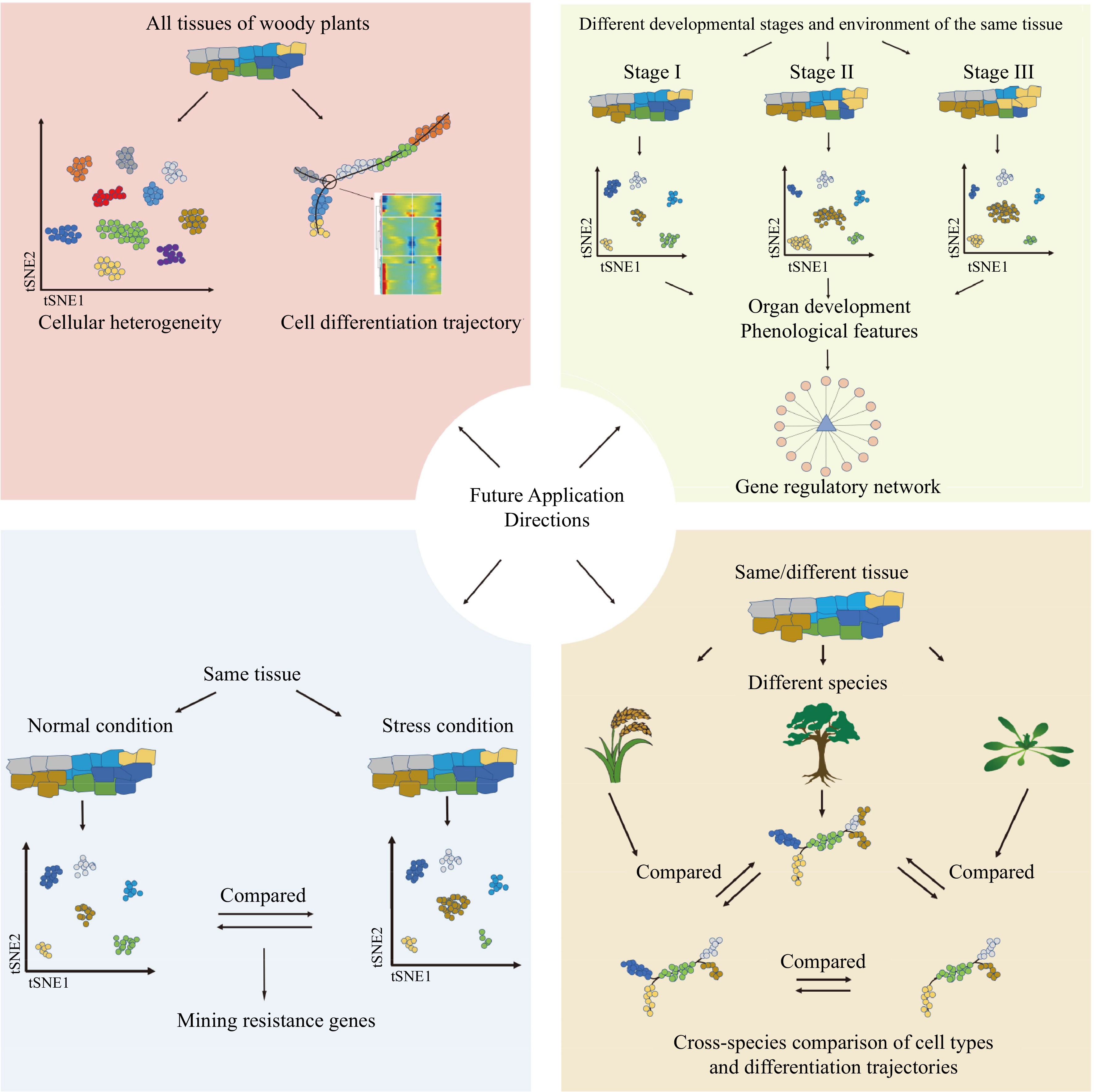 Application and prospects of single-cell and spatial omics technologies ...