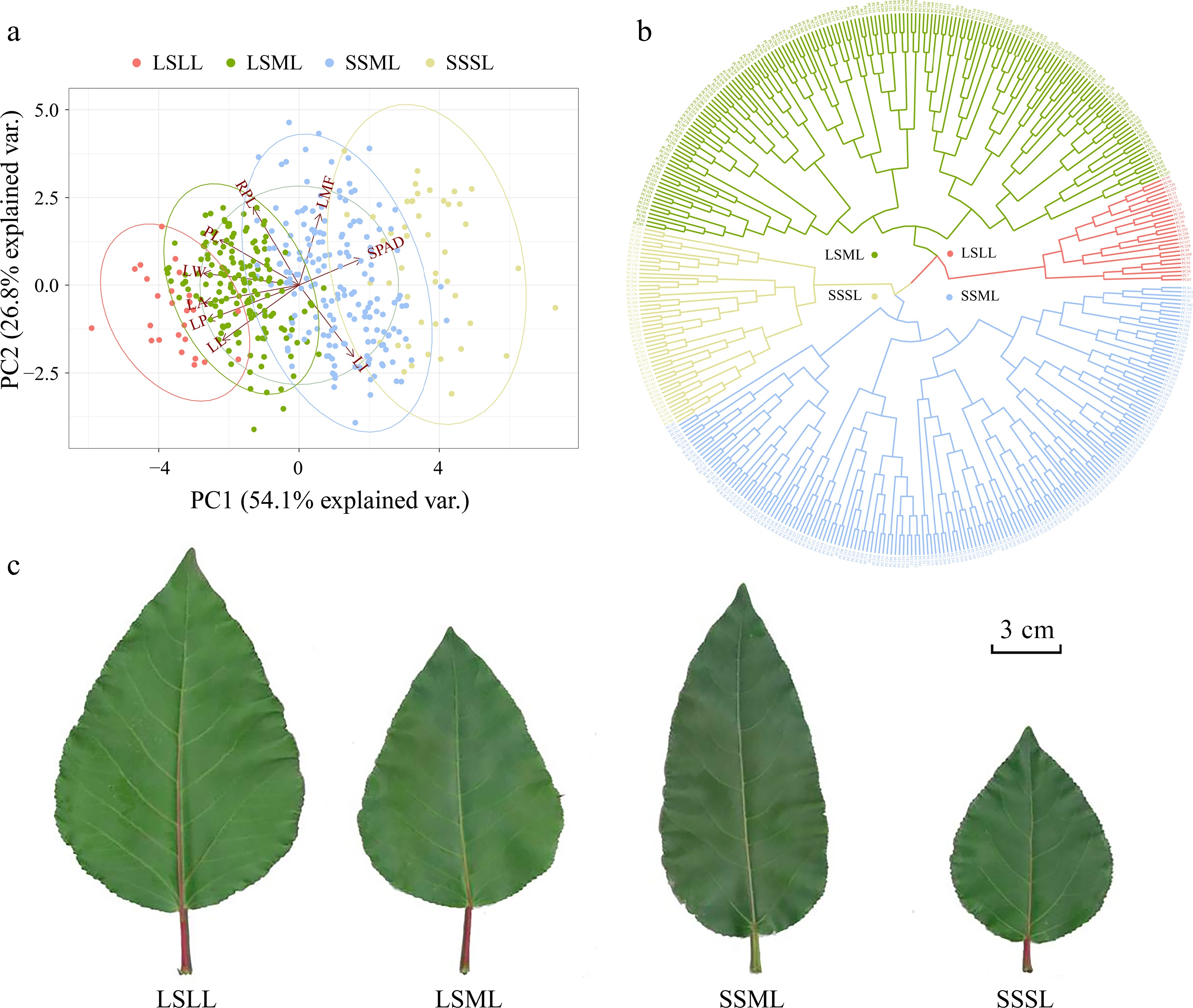 Selective sweep and GWAS provide insights into adaptive variation of ...