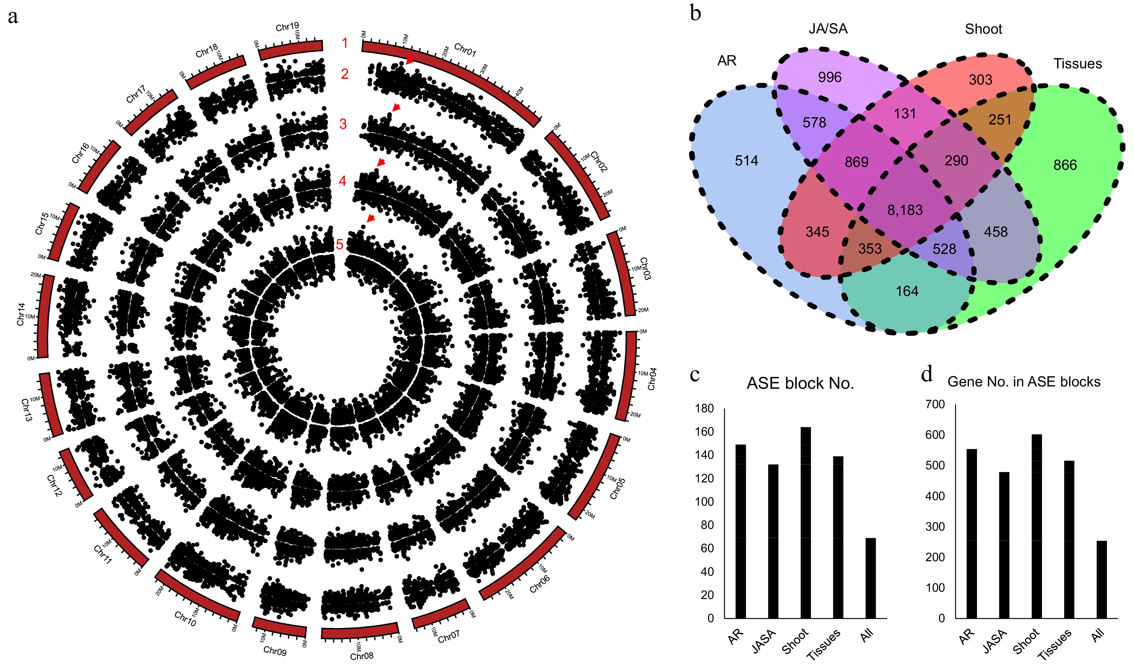 Haplotype-resolved genome assembly of poplar line NL895 provides a ...