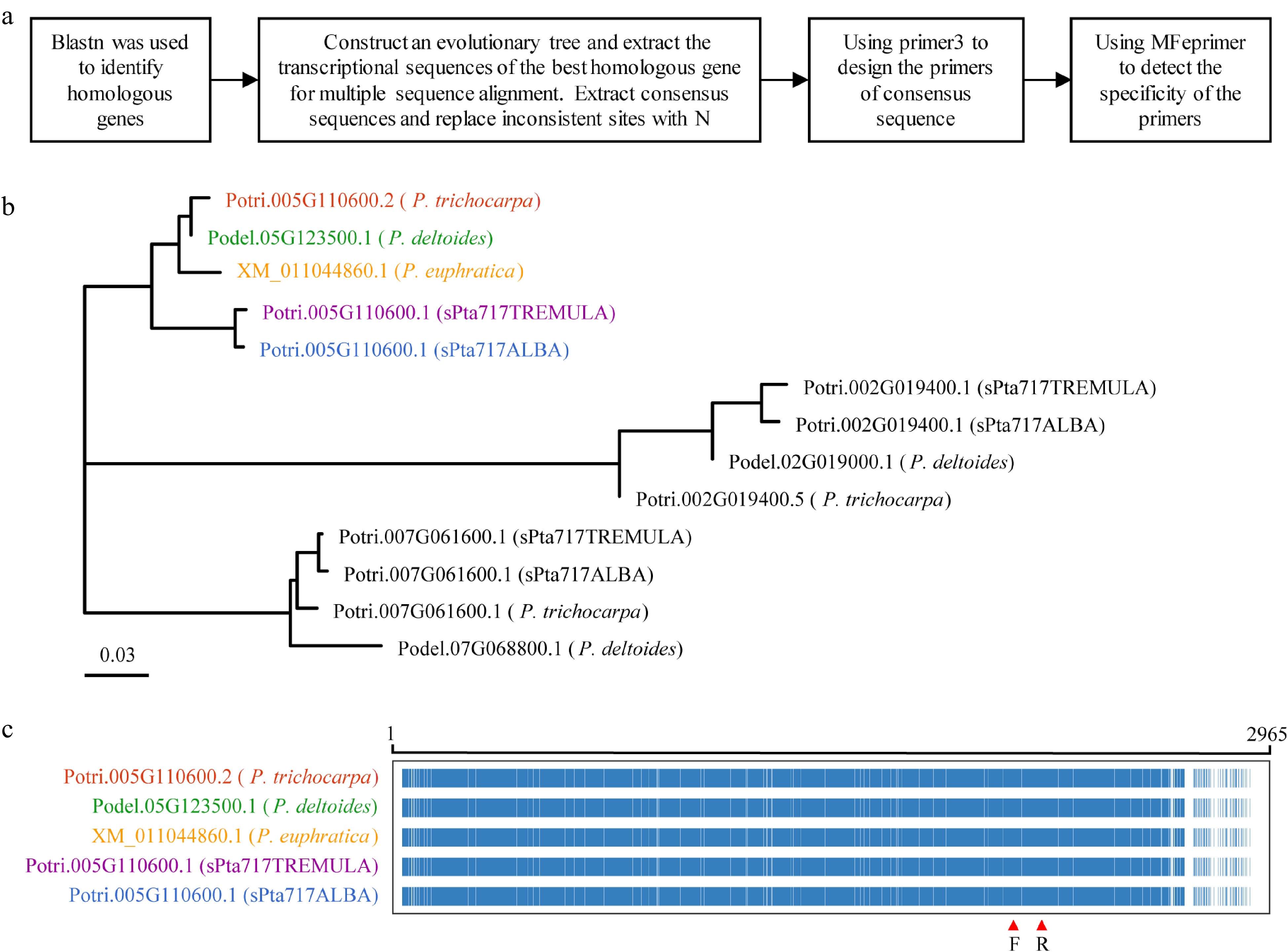 A protocol for identifying universal reference genes within a genus ...