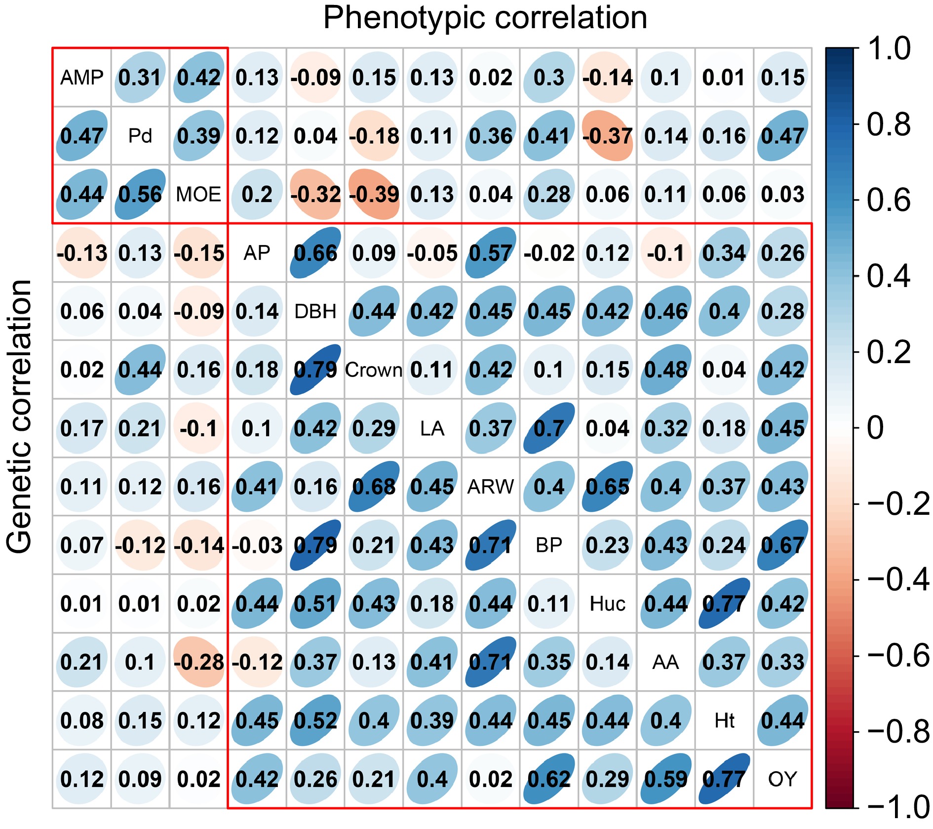 Genetic selection for growth, wood quality and resin traits of ...
