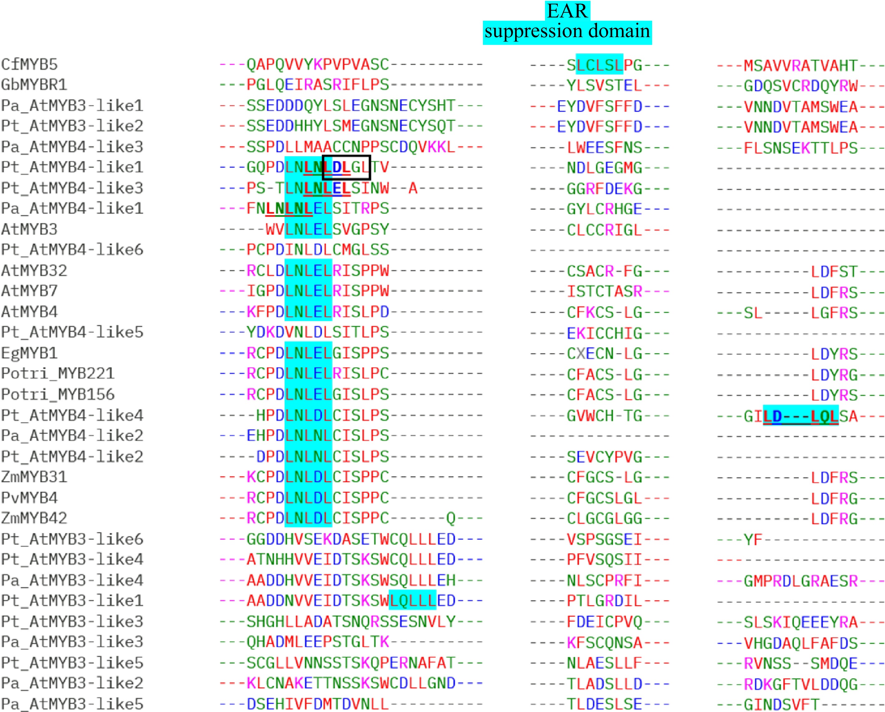 Lignin biosynthesis pathway repressors in gymnosperms differential ...
