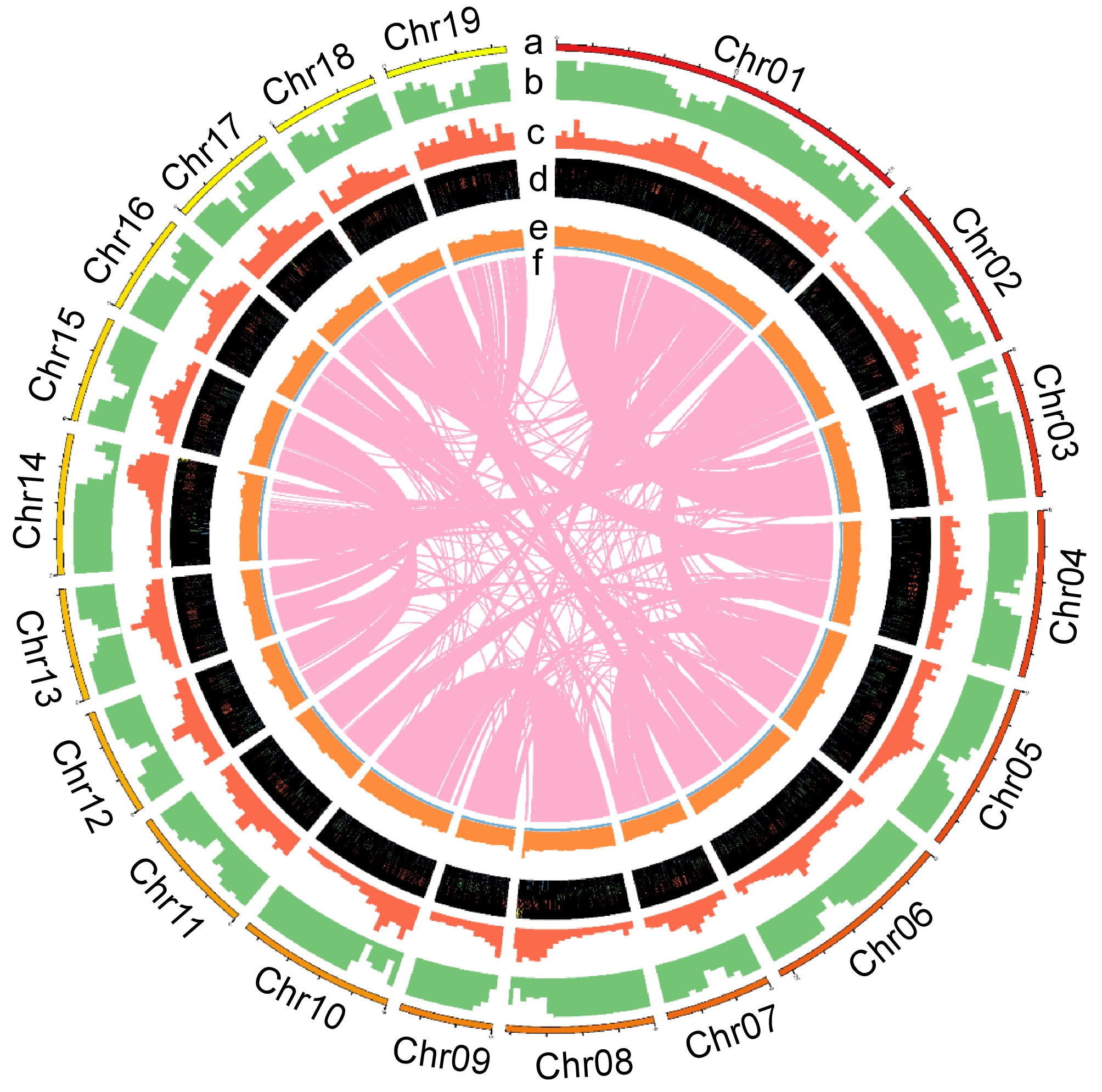 Qu-1 a transformation-and regeneration-amenable doubled haploid cell ...