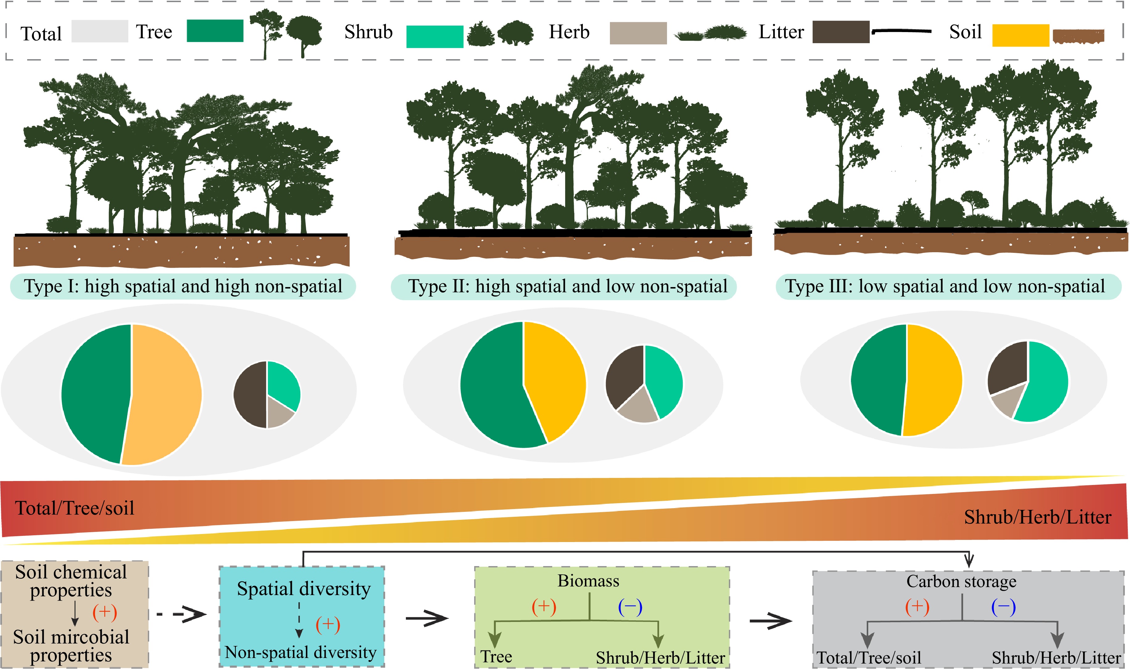 Effects of stand structural diversity on carbon storage of Masson pine ...