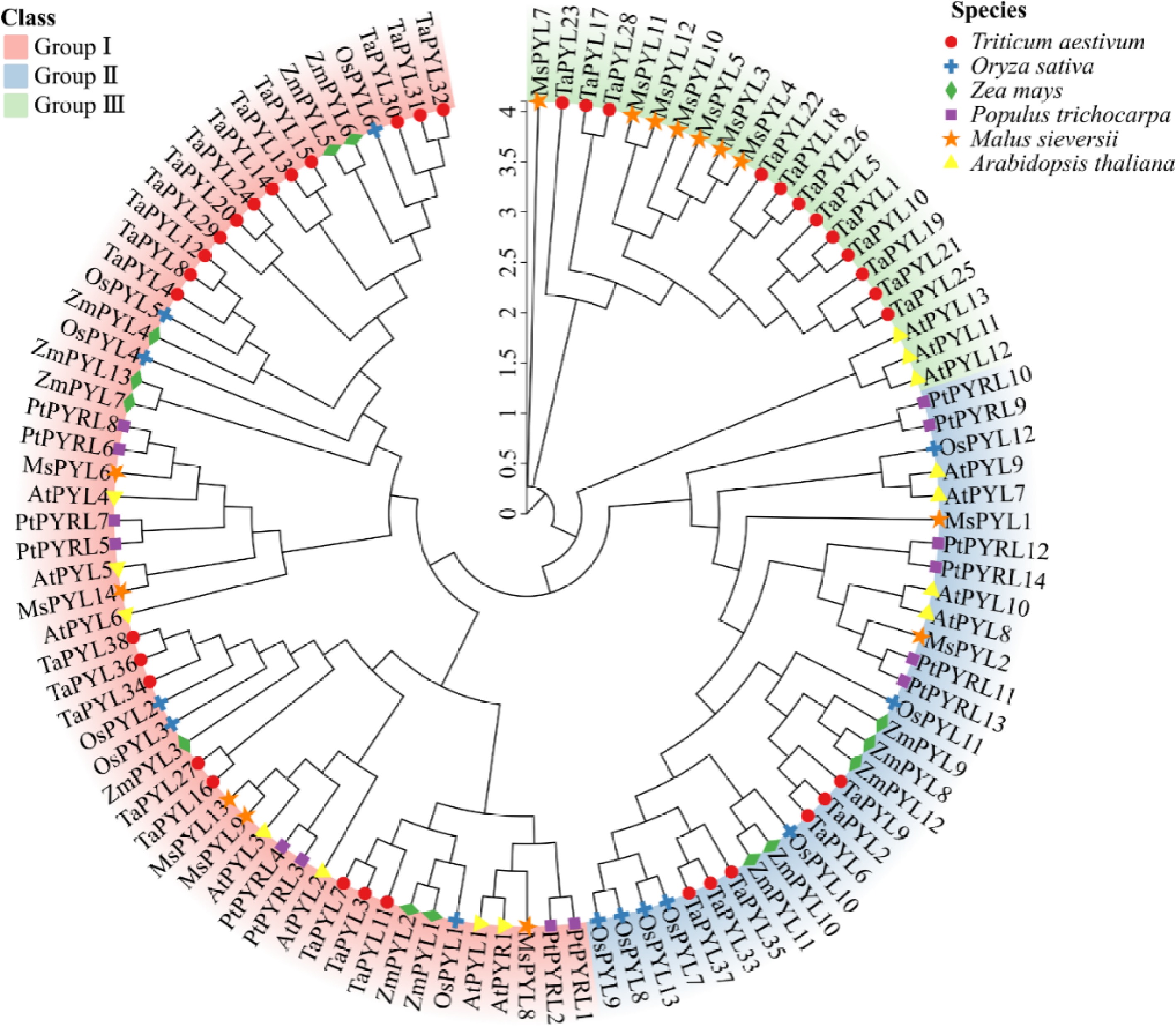 Identification of Malus sieversii ABA receptor PYL8 interacting ...