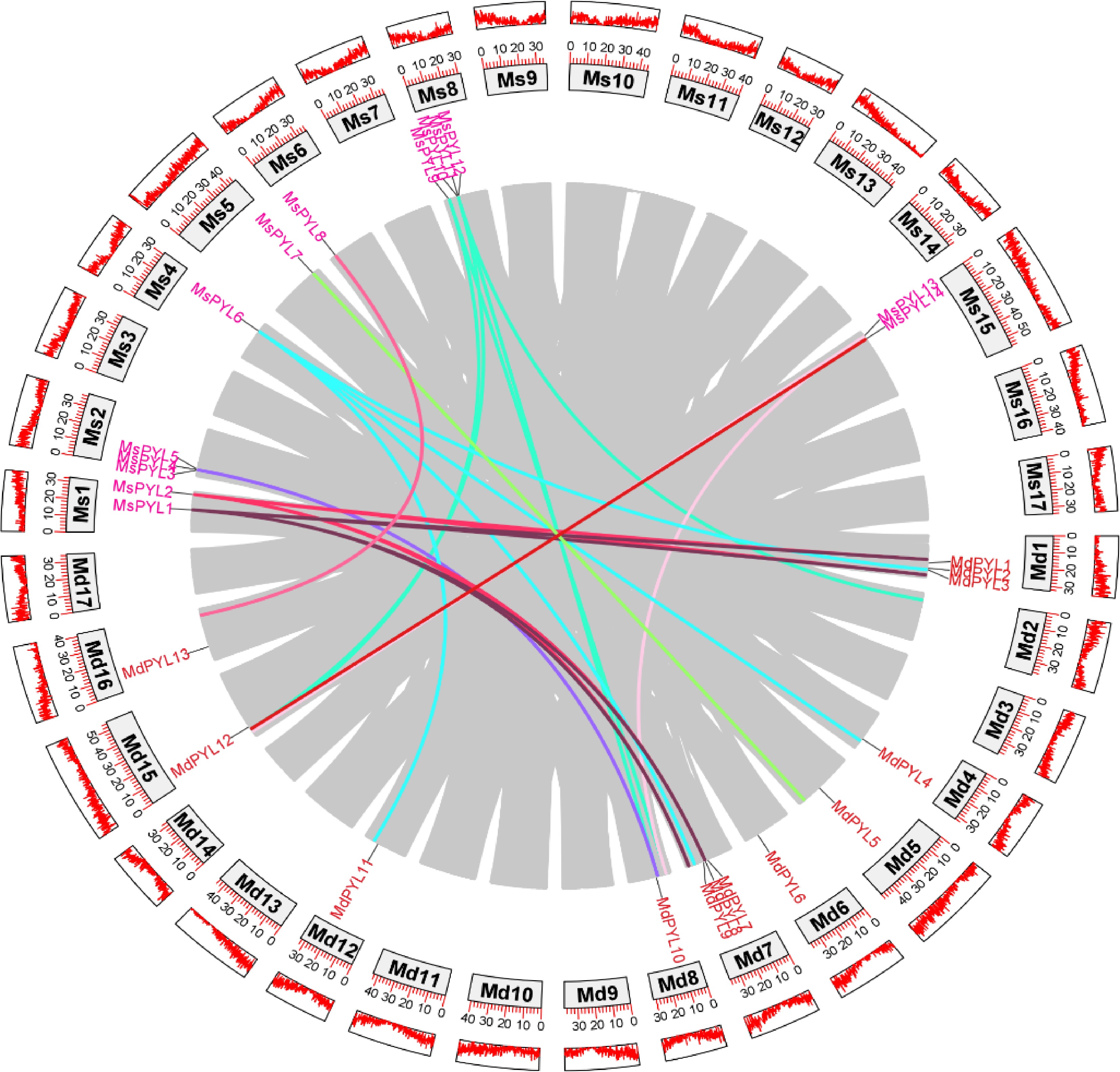 Identification of Malus sieversii ABA receptor PYL8 interacting ...