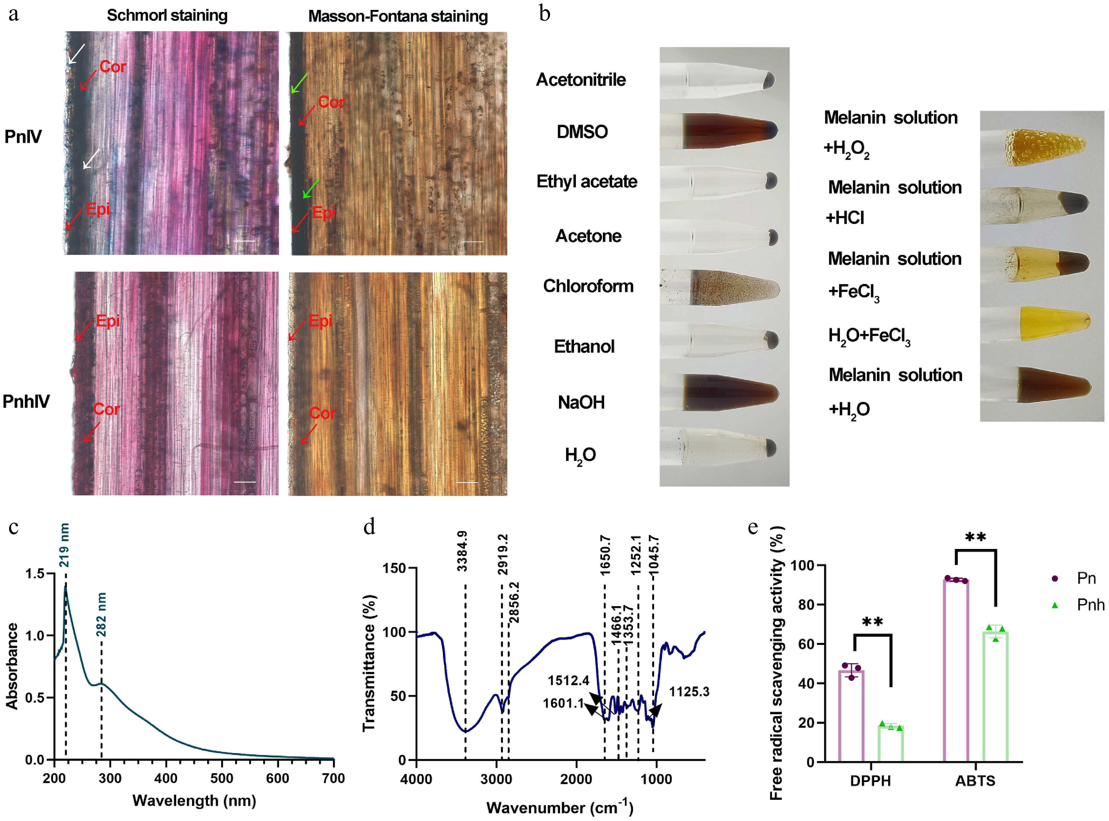 Integrative transcriptome and metabolome evaluation of melanin ...