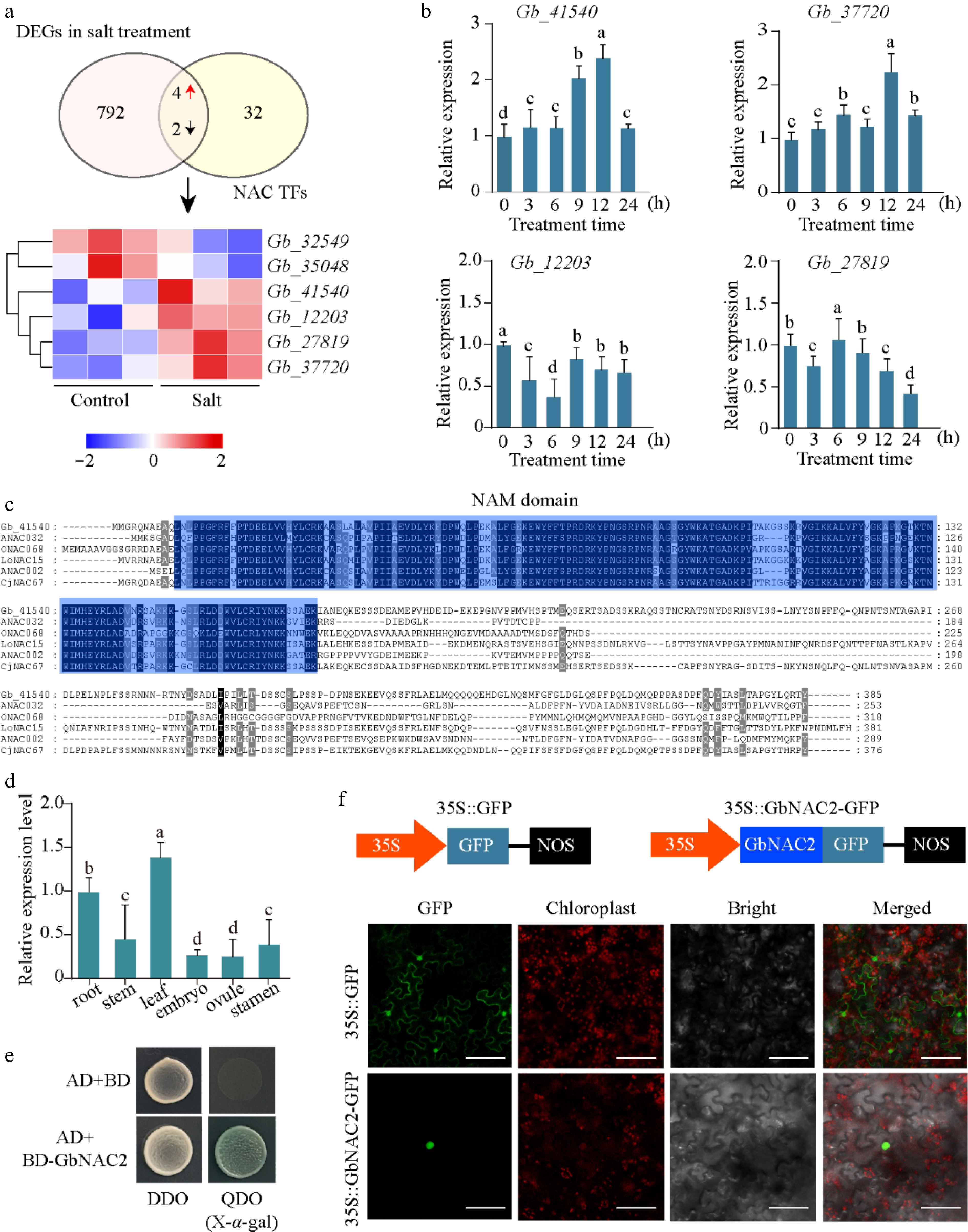 Dual function of GbNAC2 in flavonoid metabolism and hormonal pathways ...