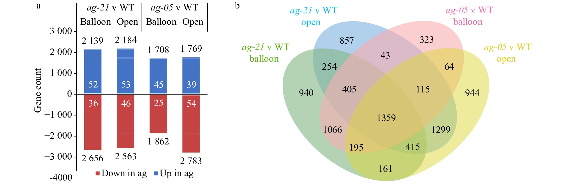 Coreless apples generated by the suppression of carpel genes and ...
