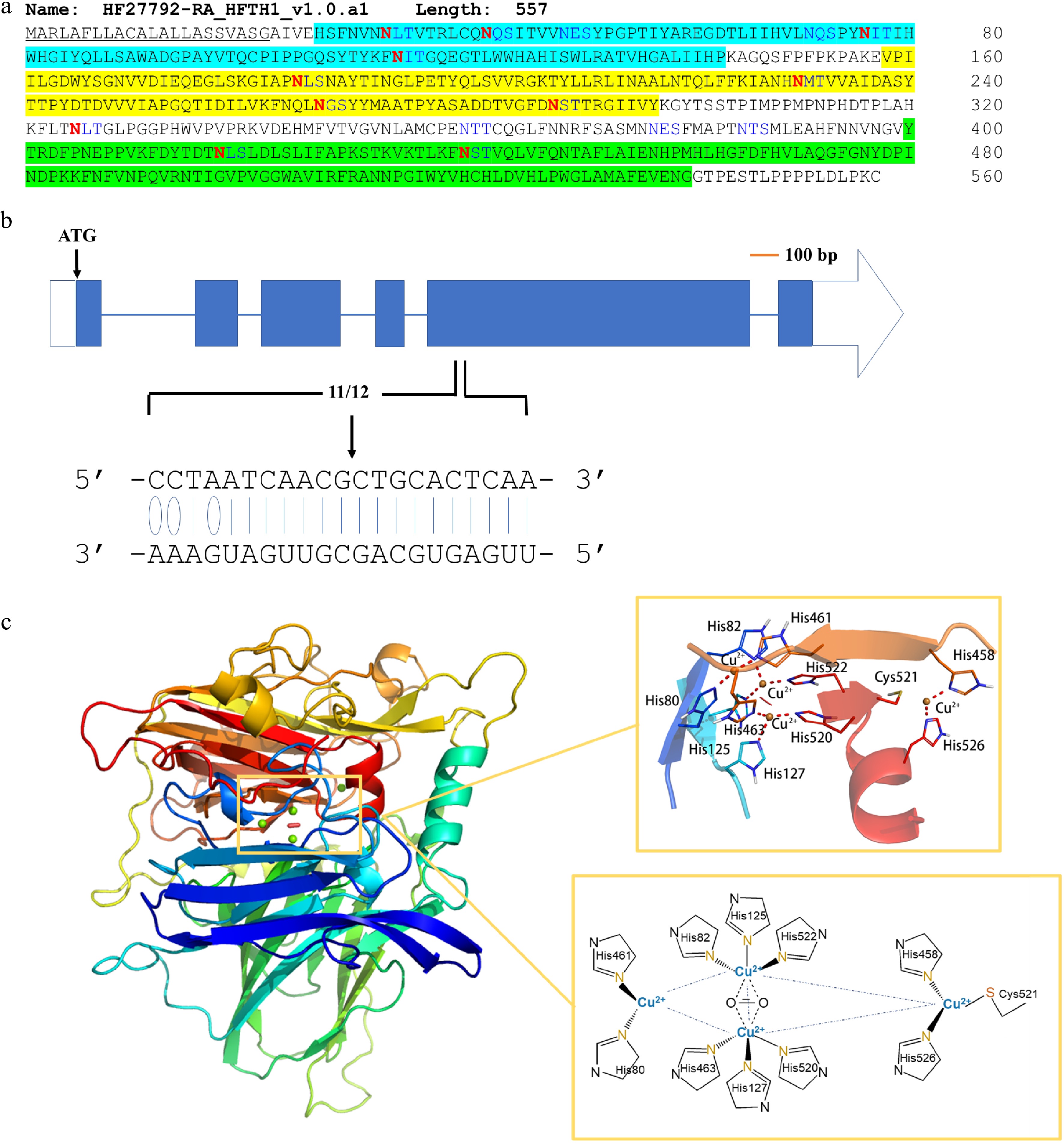 The genotype-specific laccase gene expression and lignin deposition ...