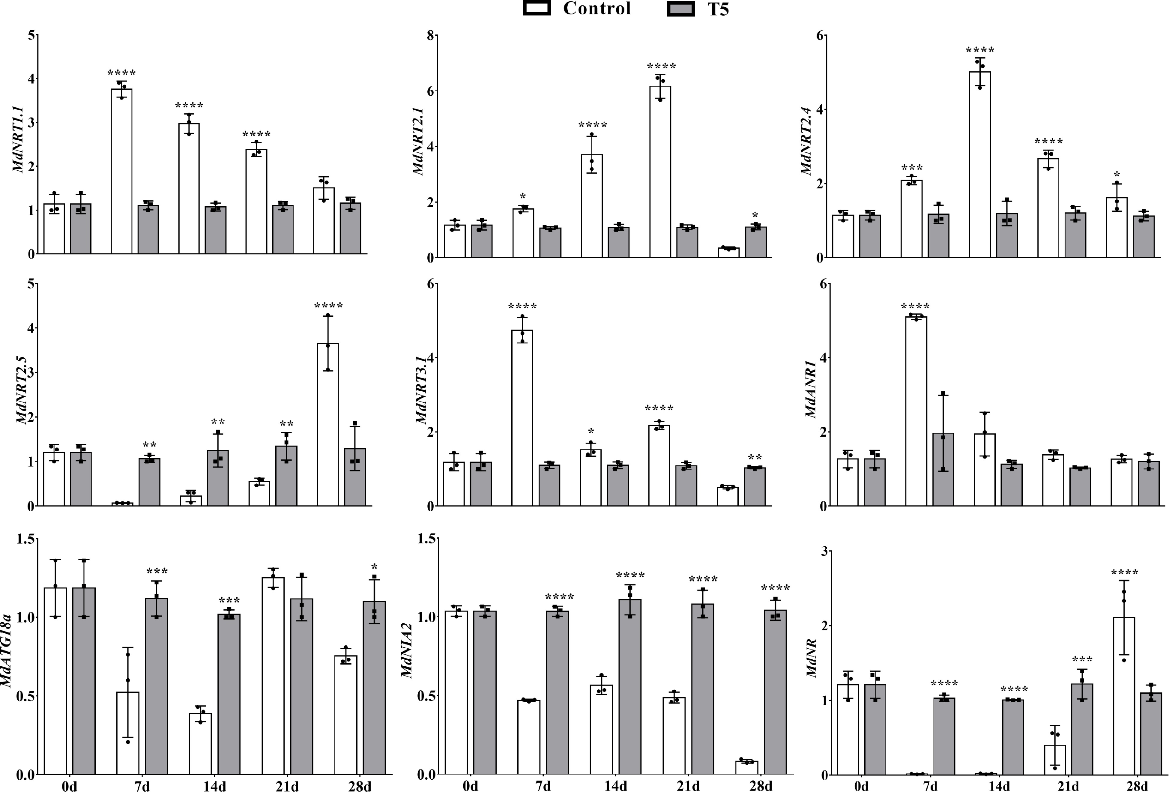 Nitrate application affects root morphology by altering hormonal status ...