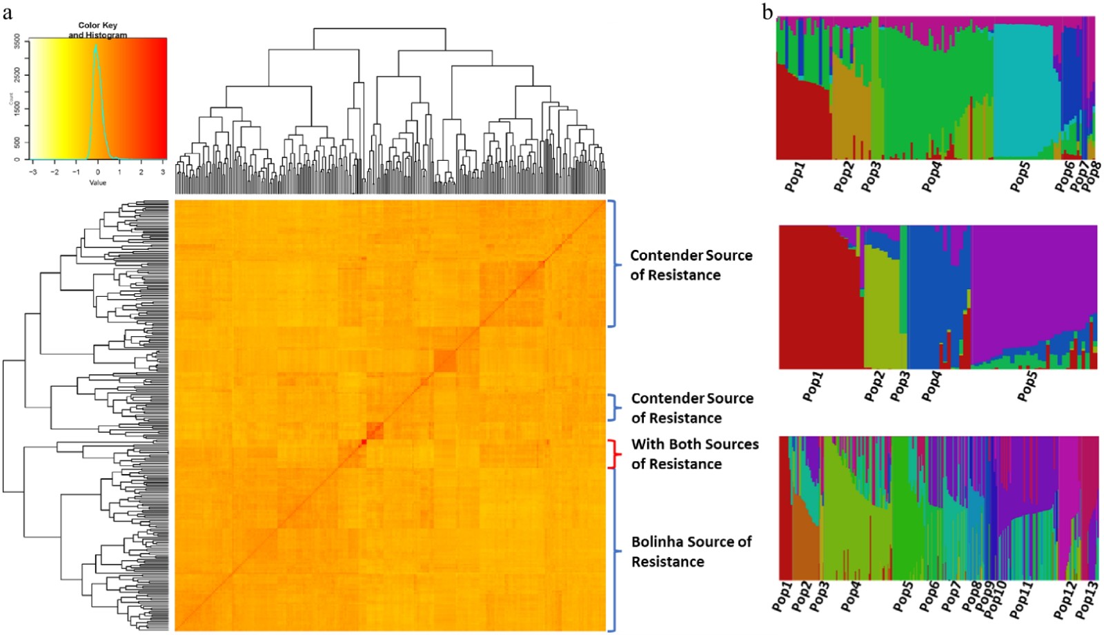 Feasibility of genomic prediction for brown rot ( Monilinia spp ...