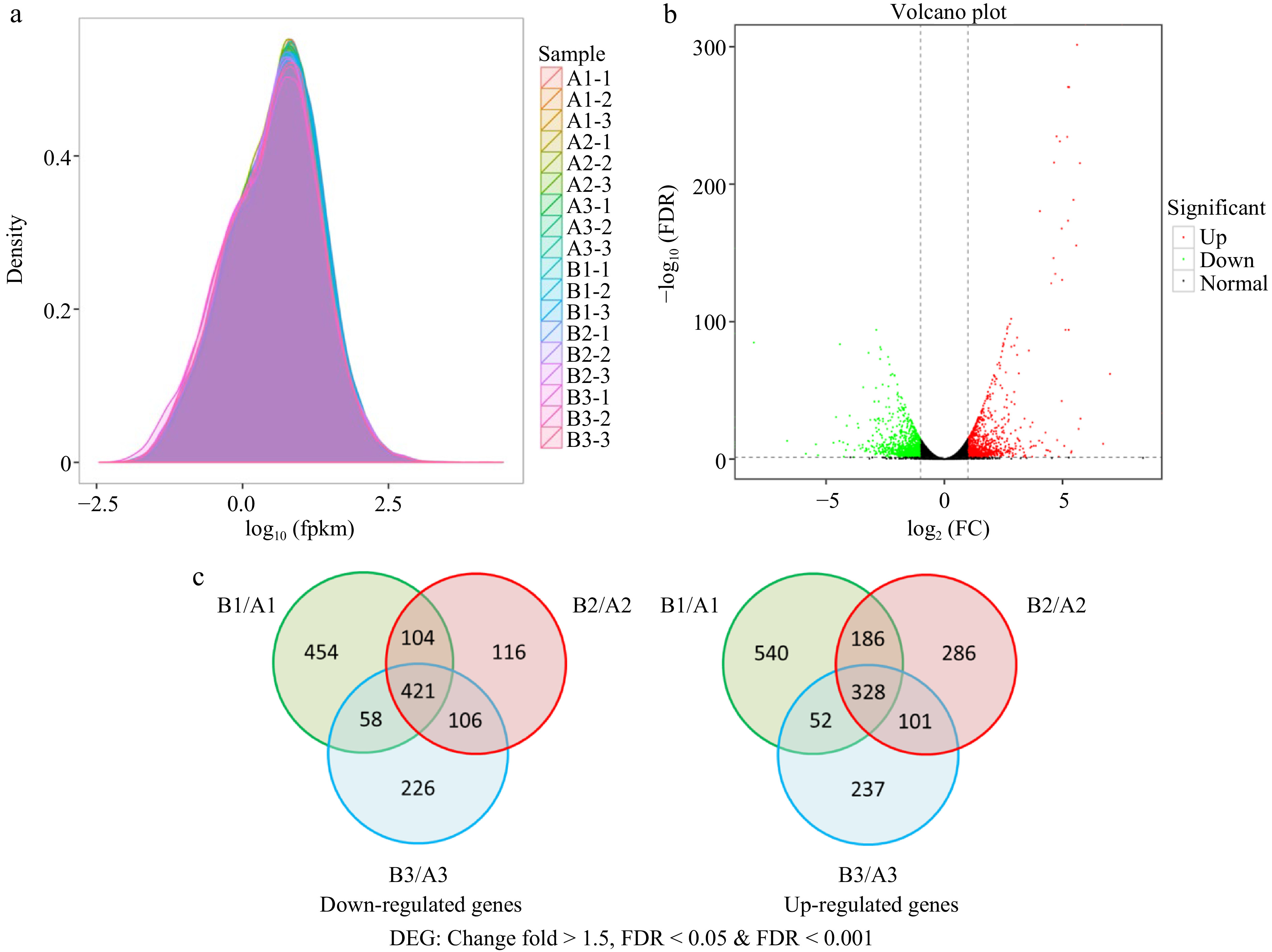 Transcriptomics reveals the molecular mechanism underlying kiwifruit ...