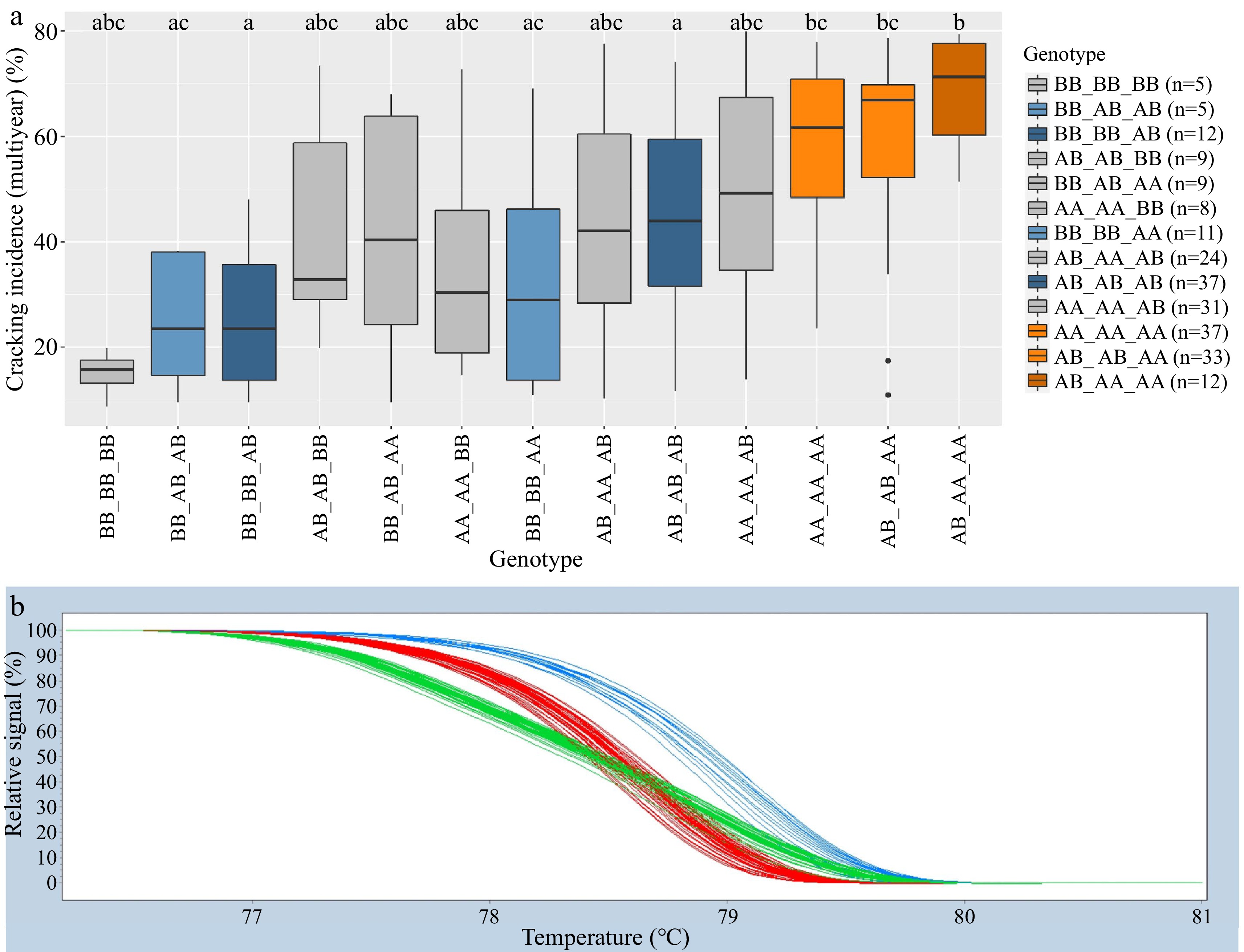 Fruit cracking and firmness DNA test development and evaluation in ...