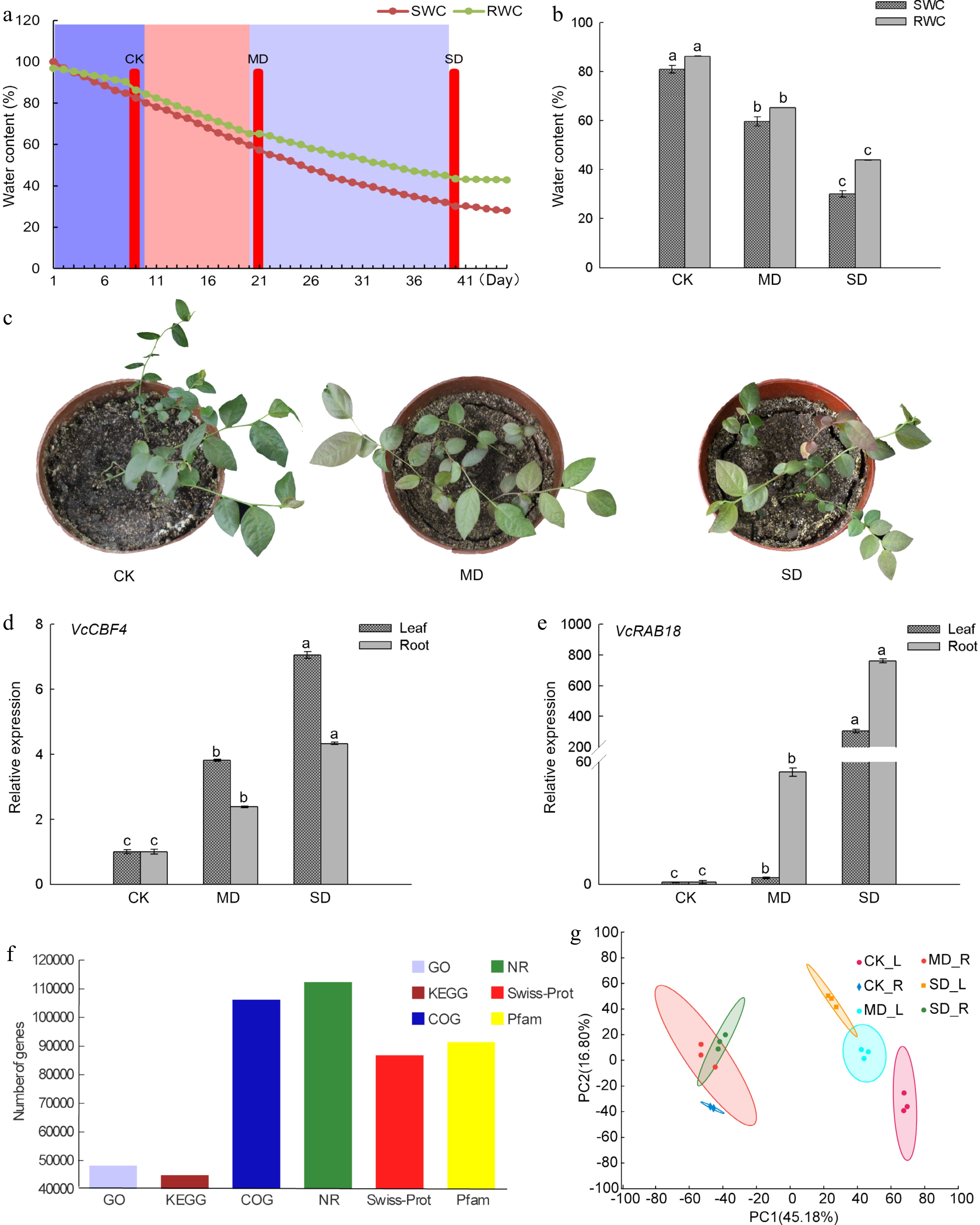 Comparative Transcriptome Profiling Reveals The Defense Pathways And