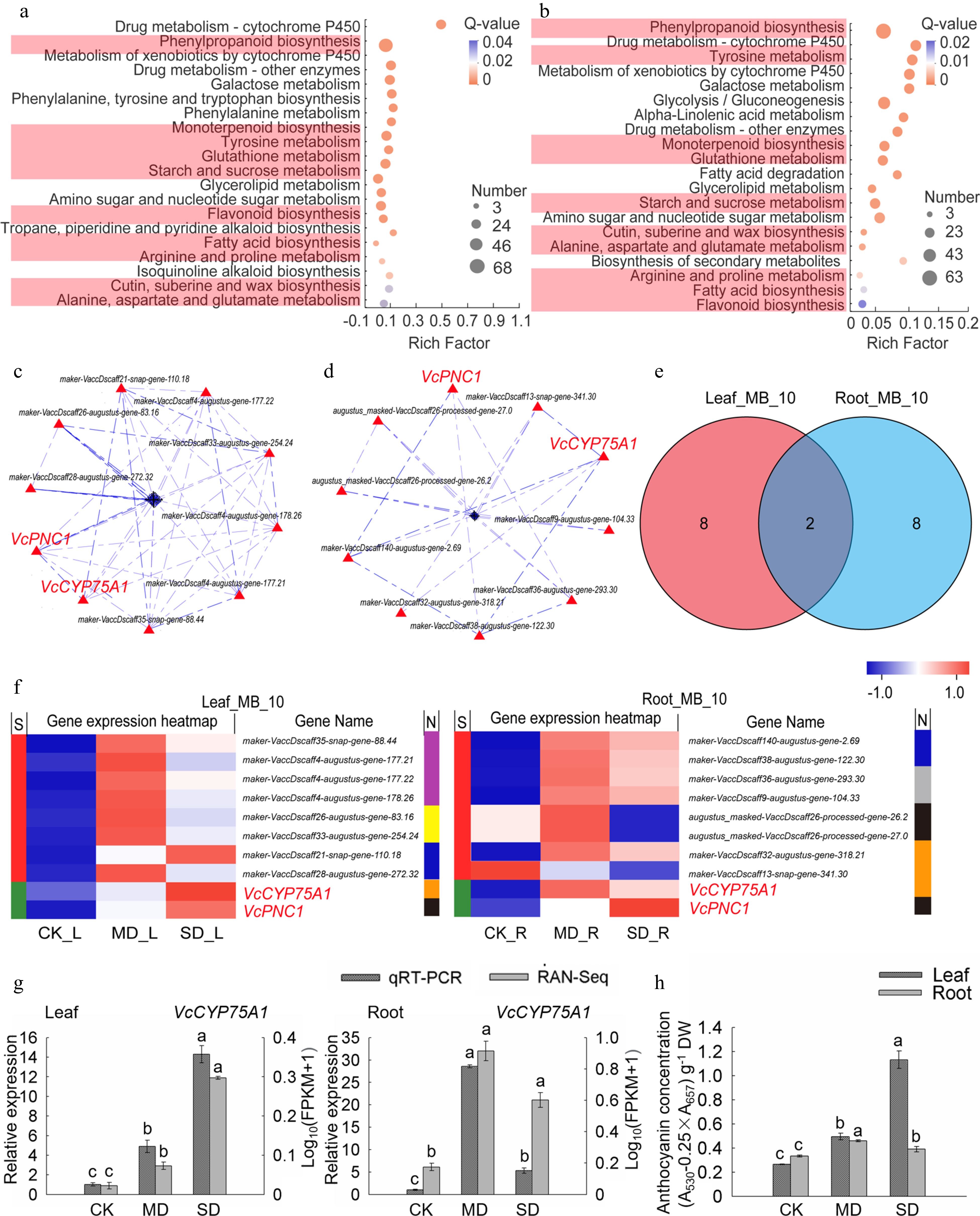 Comparative Transcriptome Profiling Reveals The Defense Pathways And