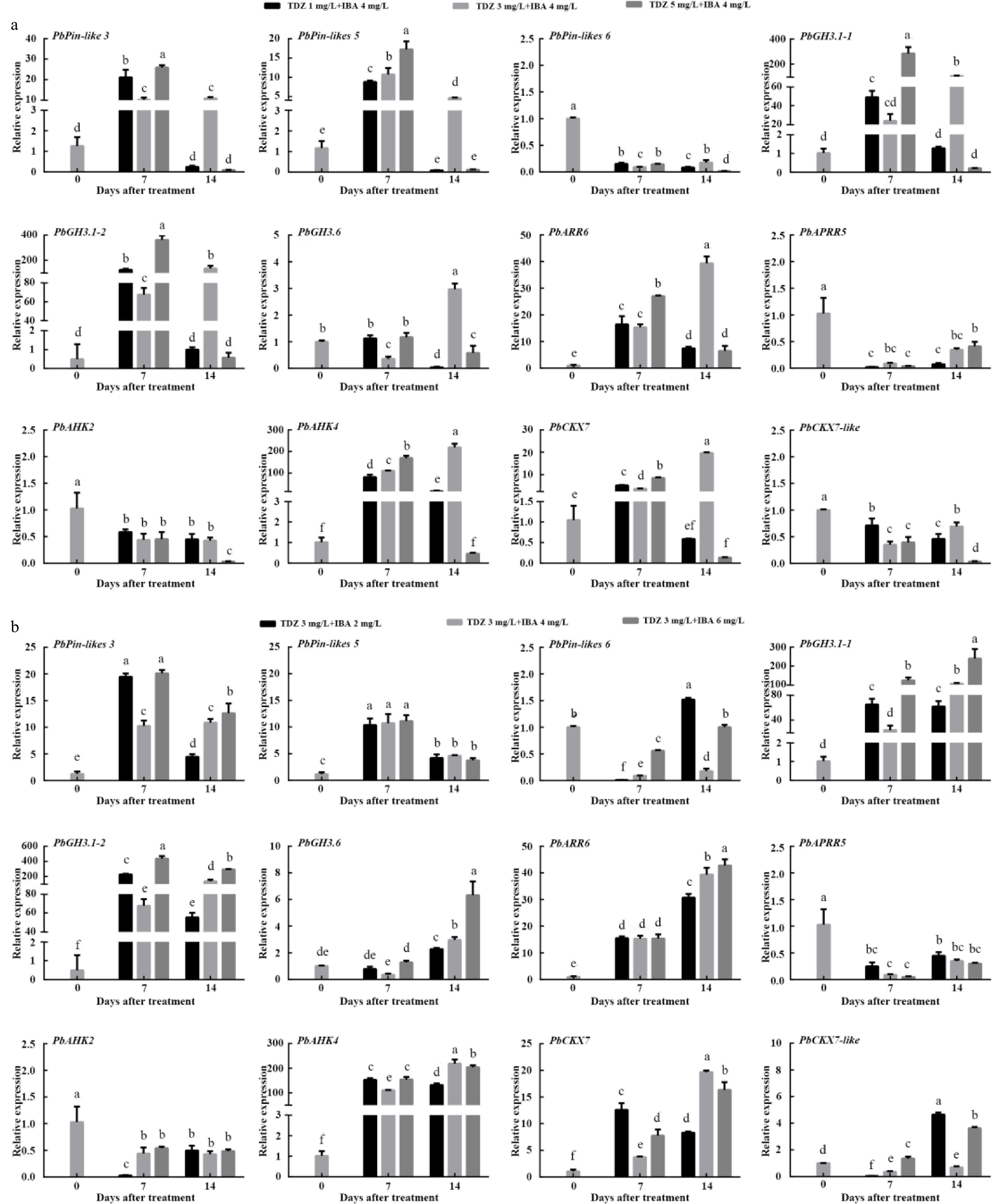 Effects of TDZ and IBA on DNA methylation during callus induction in ...