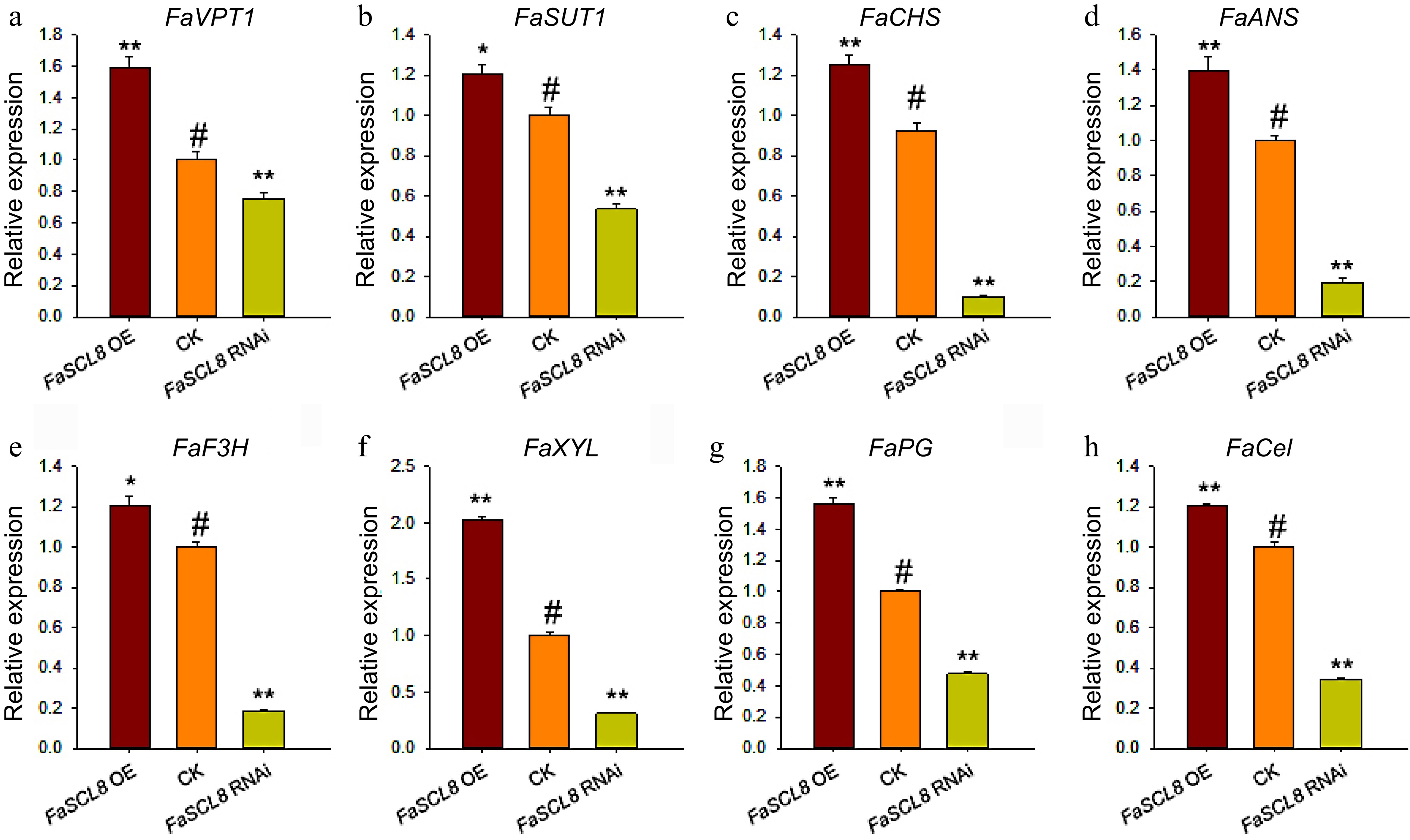 GRAS family transcription factor FaSCL8 regulates FaVPT1 expression ...