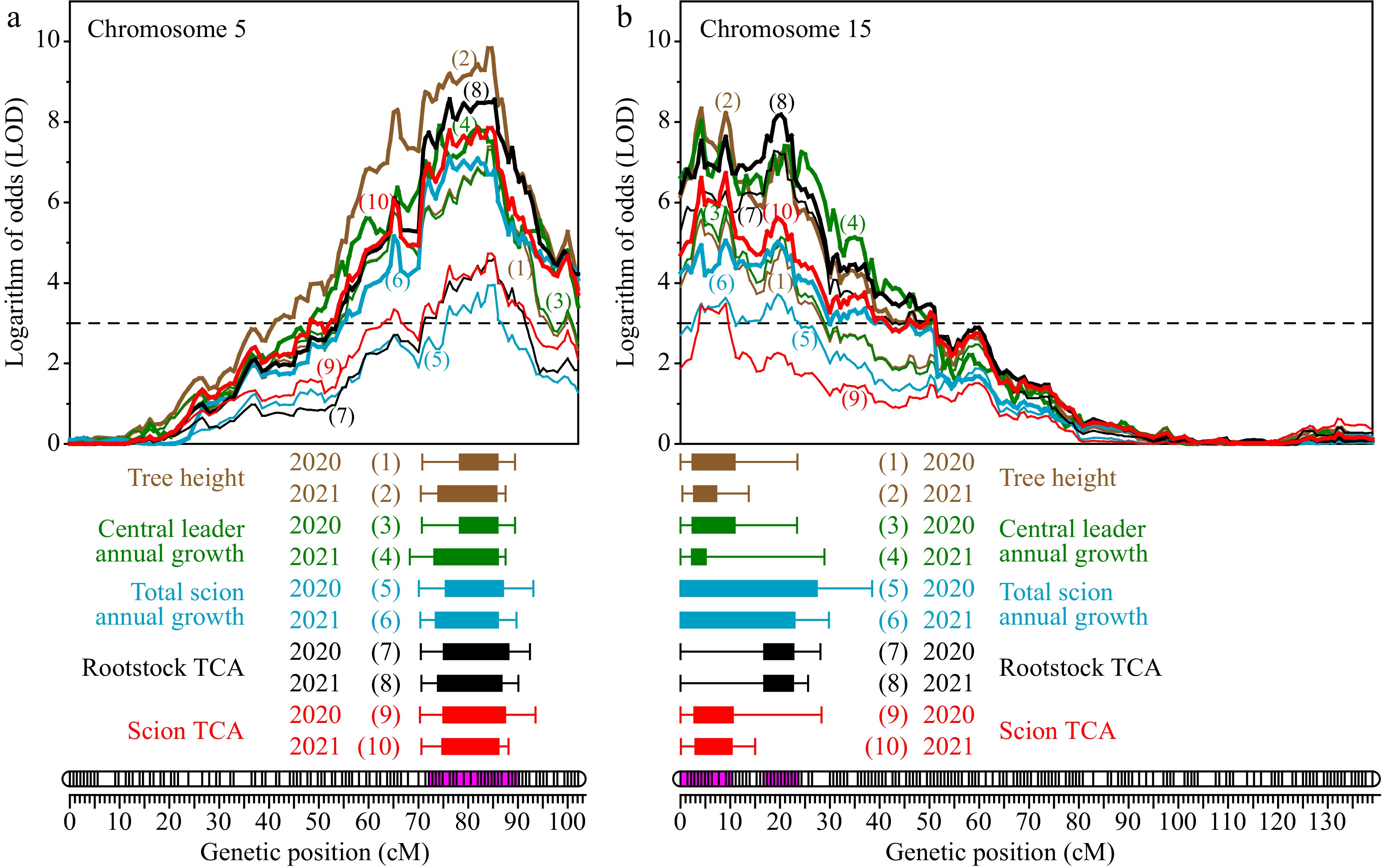 Genetic mapping and haploblock characterization of two novel major ...