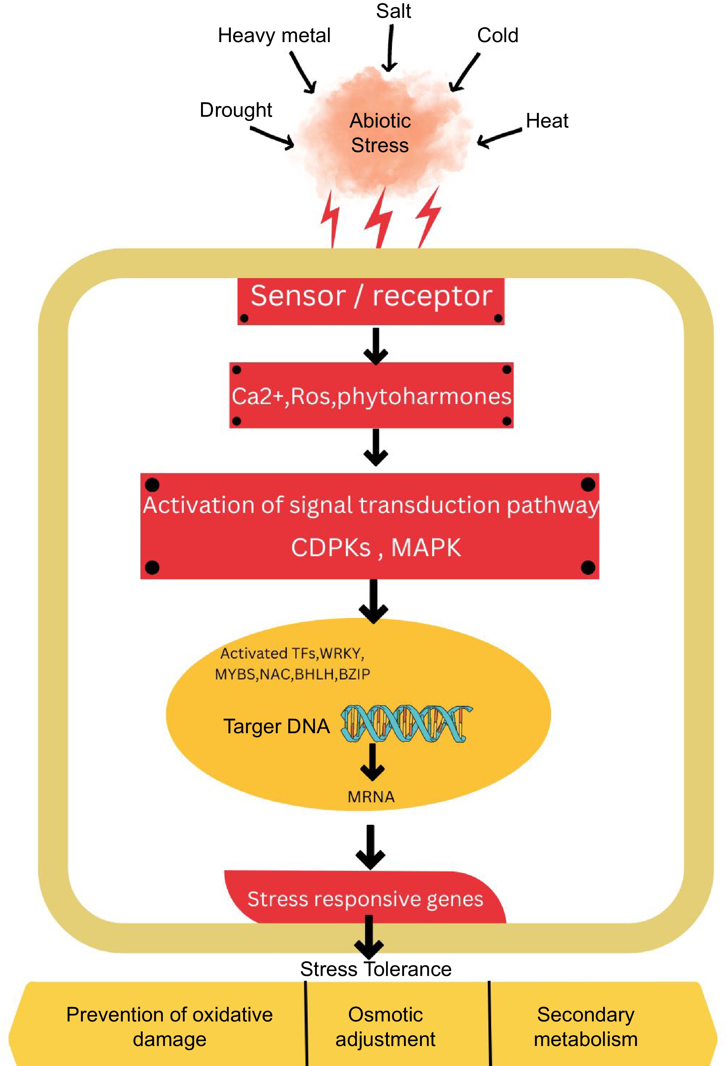 Fruit crop abiotic stress management a comprehensive review of plant ...