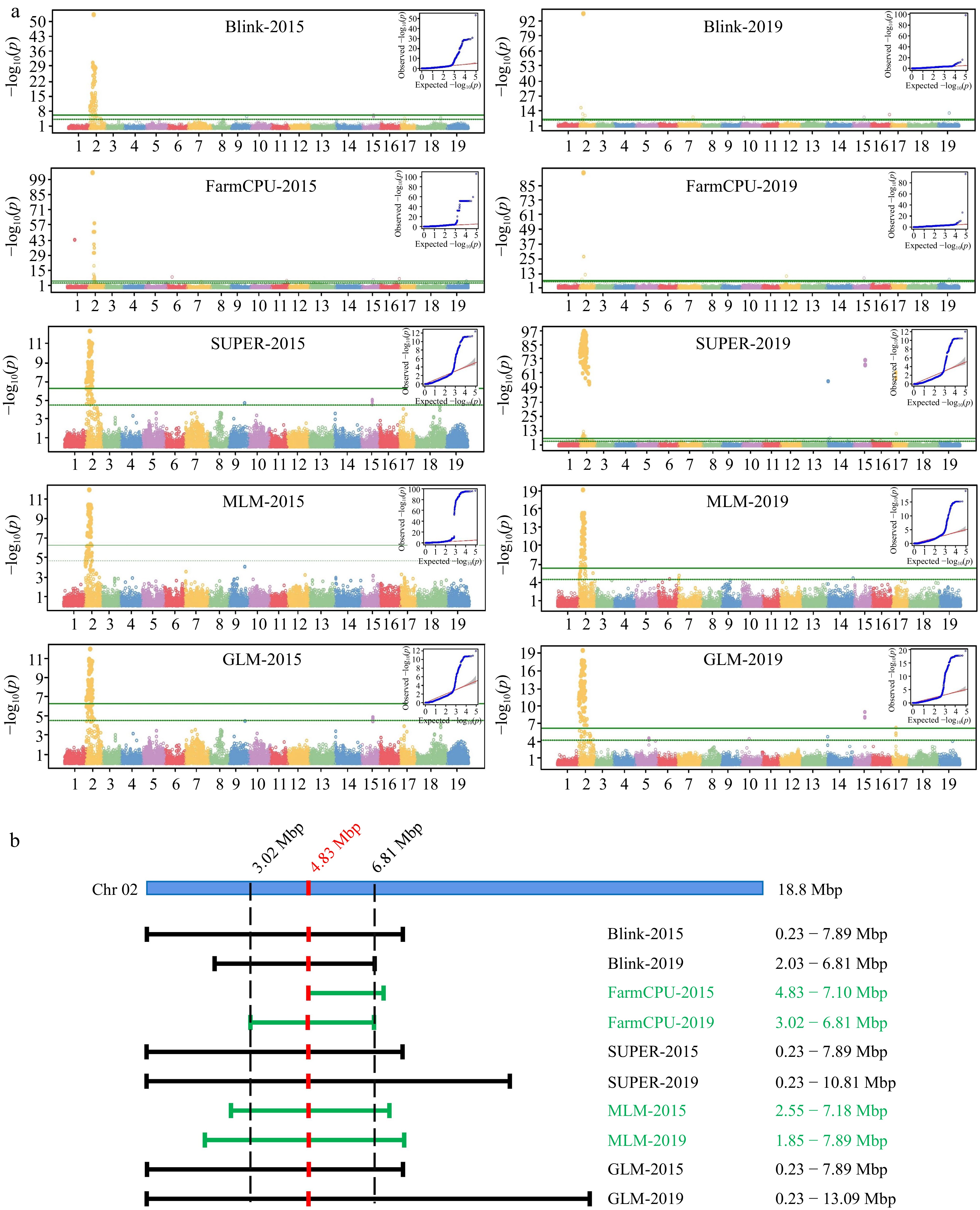 Identification Of Sex Determination Locus And Development Of Marker