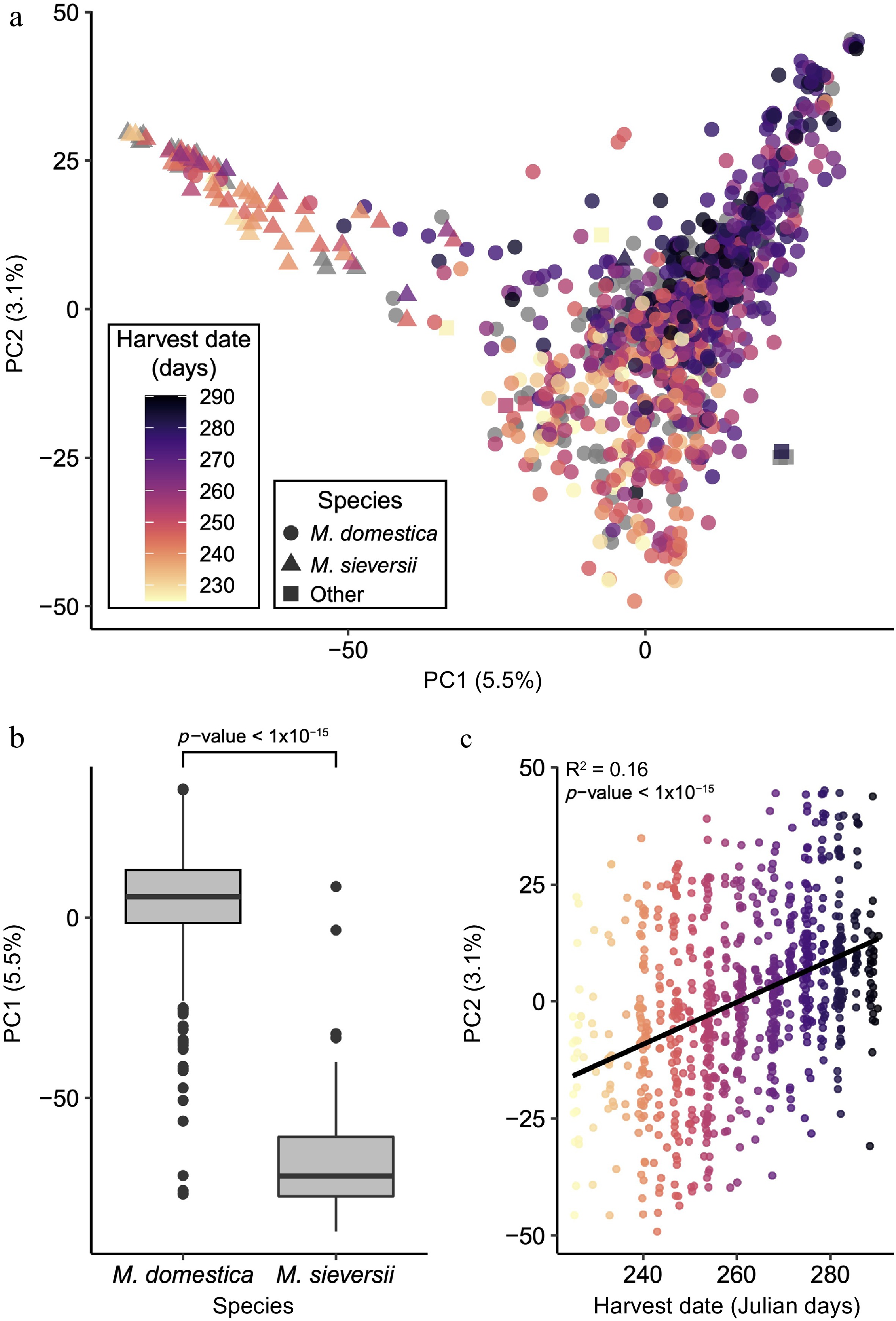 Large-scale apple GWAS reveals NAC18.1 as a master regulator of ripening traits