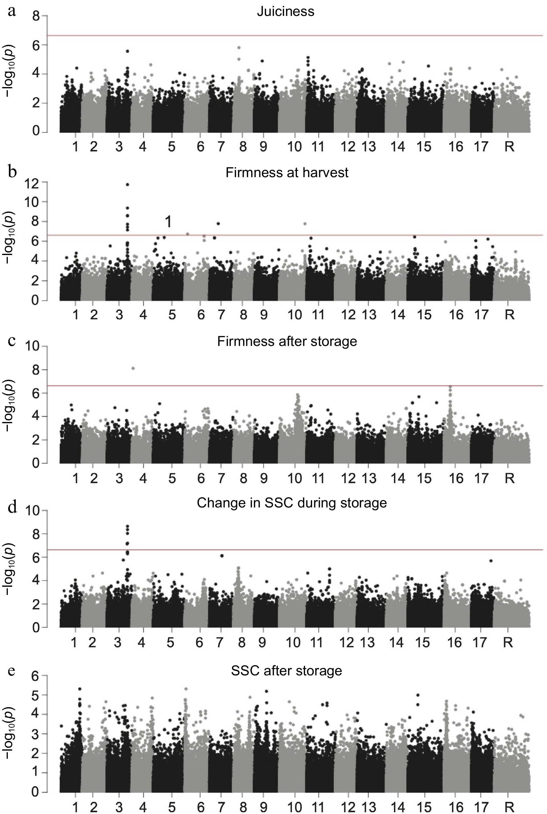 Large-scale apple GWAS reveals NAC18.1 as a master regulator of ripening traits
