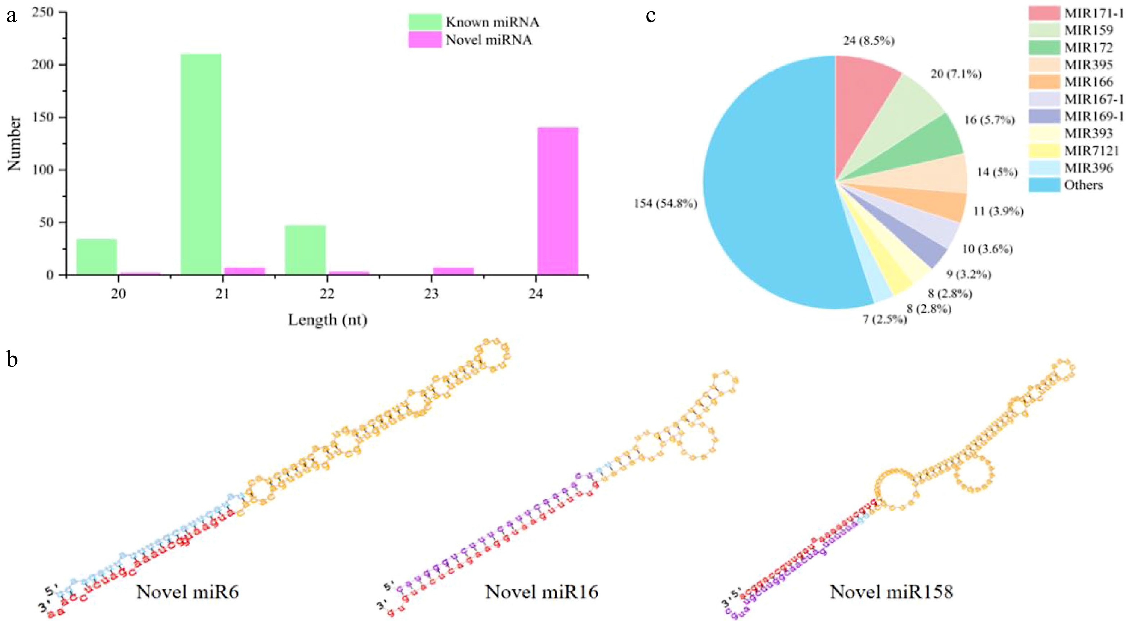 Identification of microRNAs and target genes in apple ( Malus domestica ...