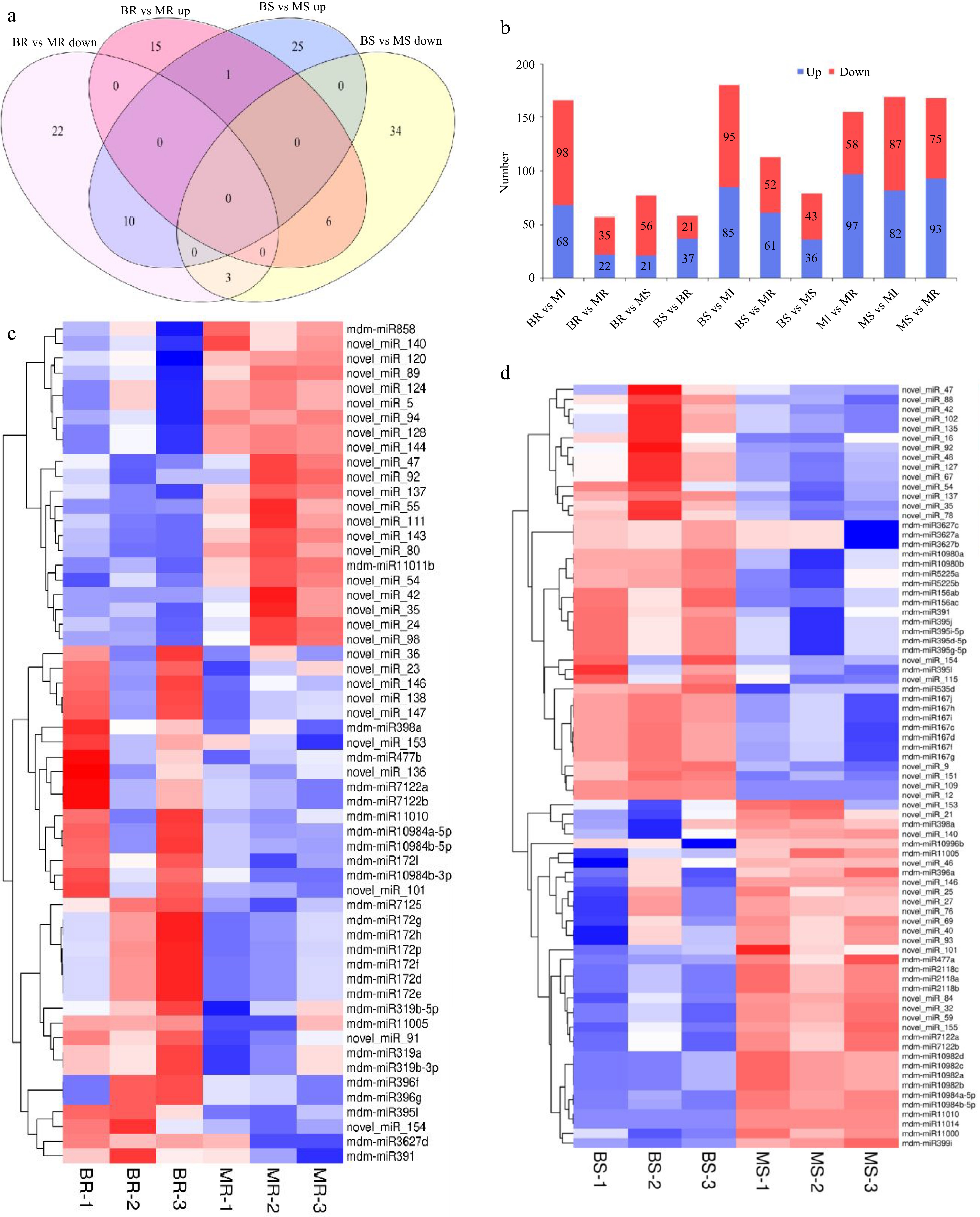 Identification of microRNAs and target genes in apple ( Malus domestica ...