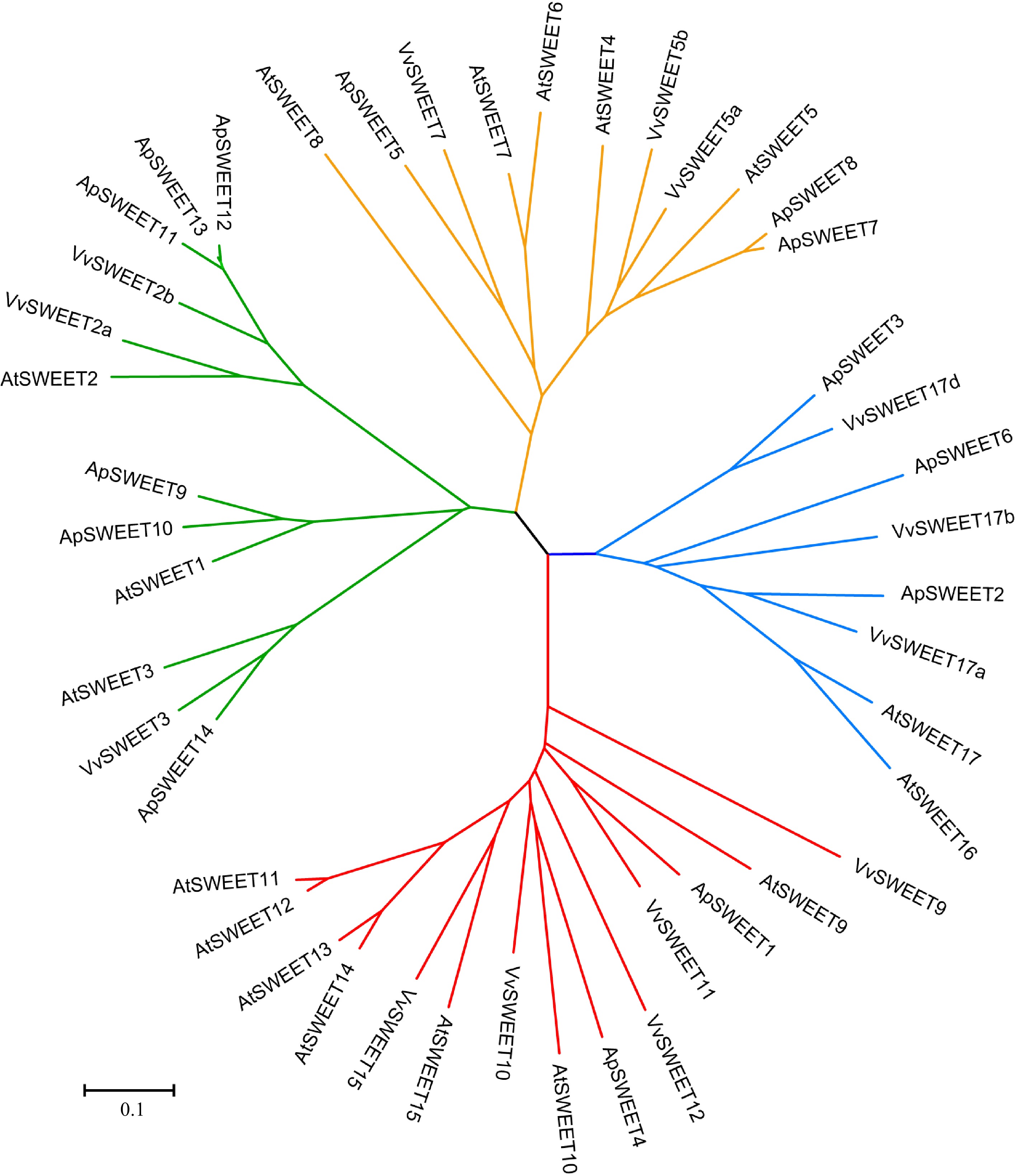 Genome-wide identification and expression profiling of the SWEET family ...