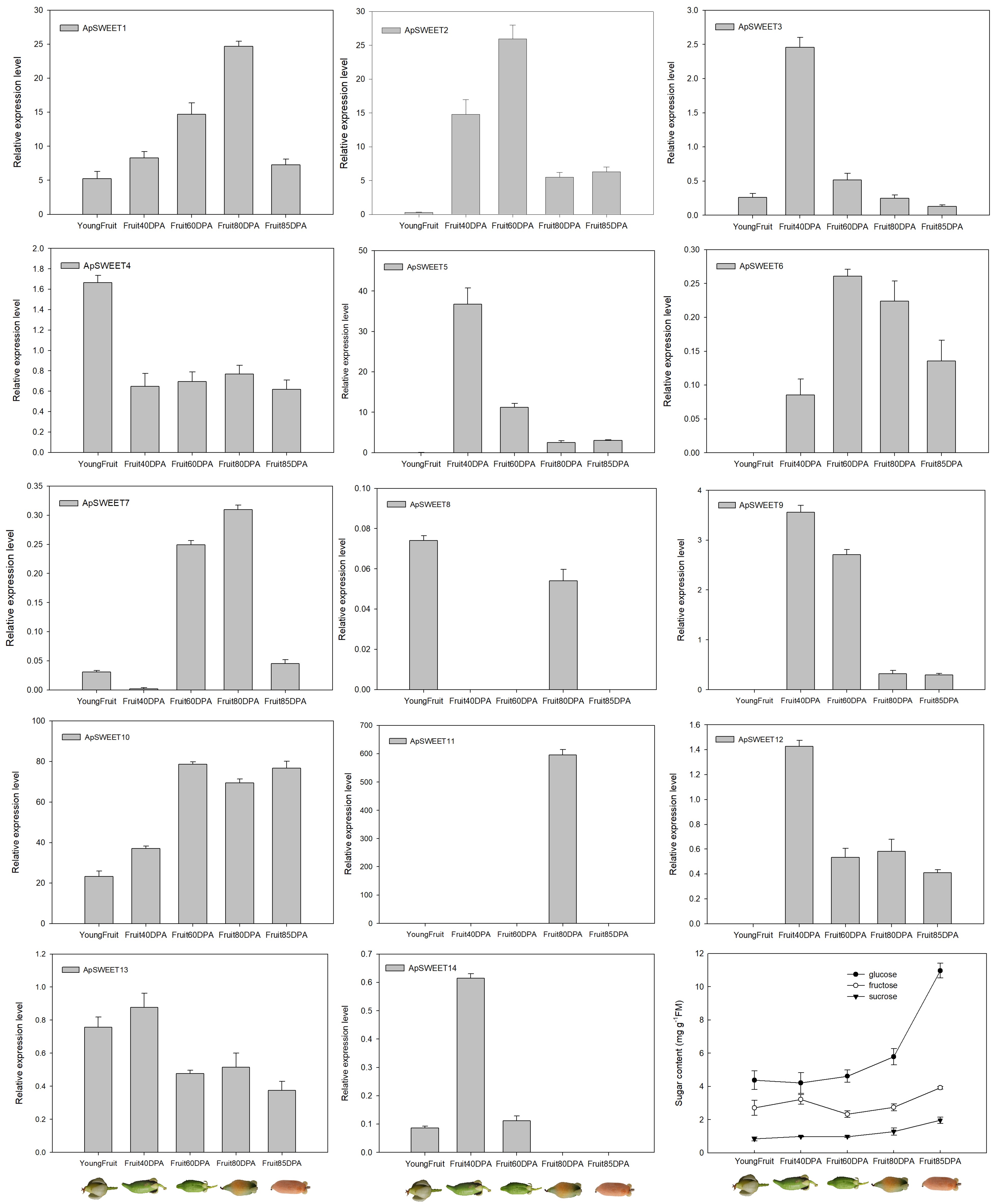 Genome-wide identification and expression profiling of the SWEET family ...
