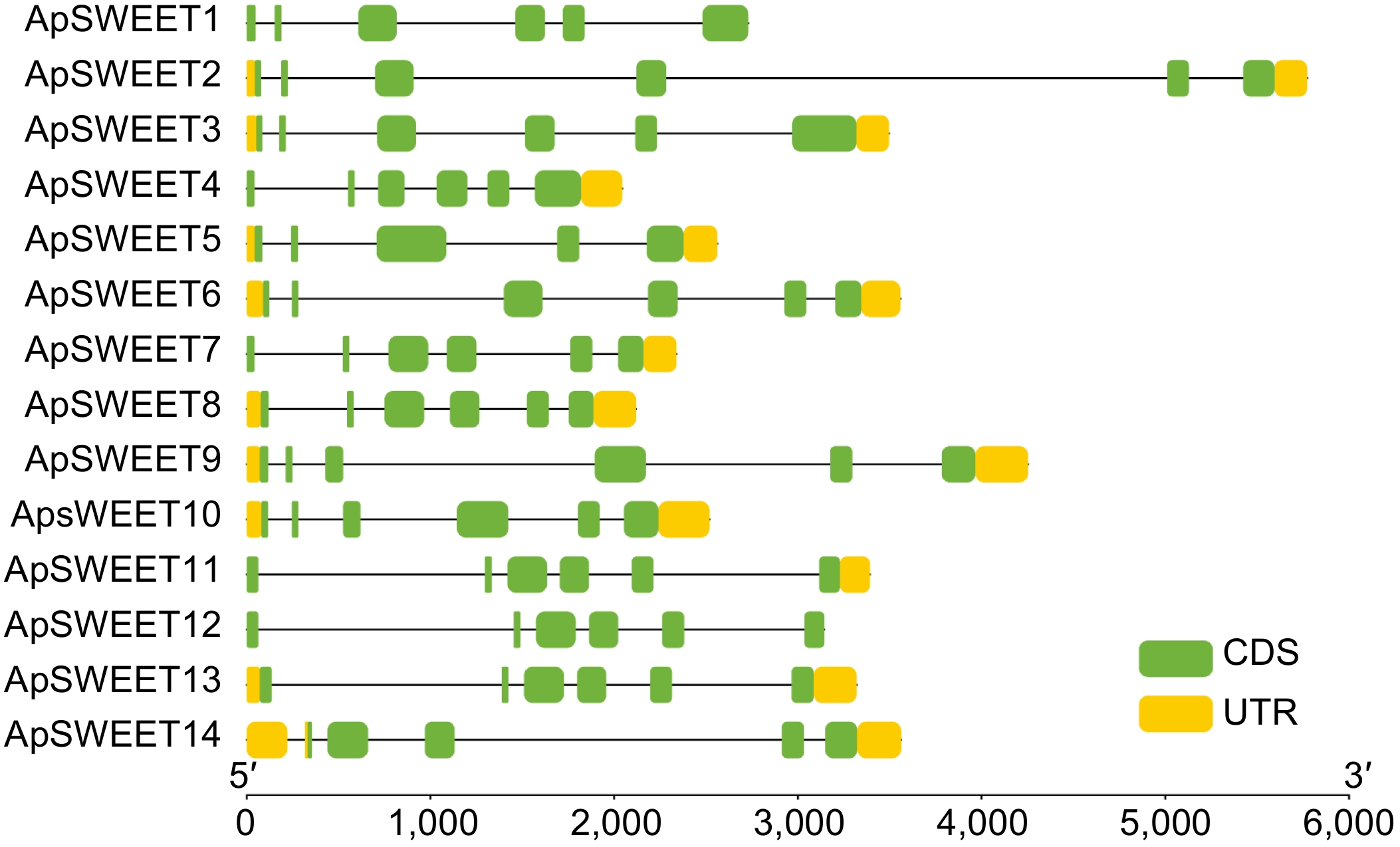 Genome-wide identification and expression profiling of the SWEET family ...