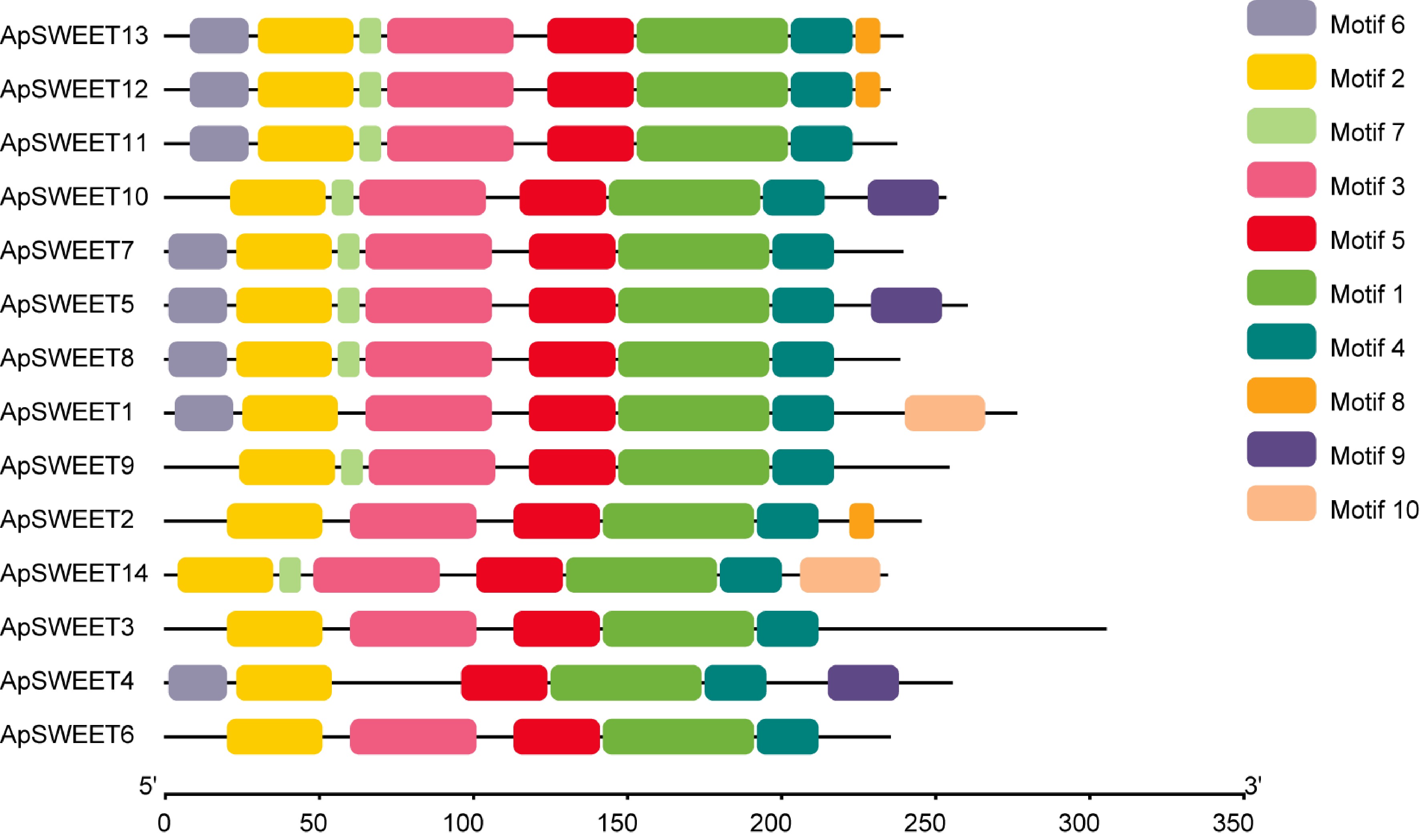 Genome-wide identification and expression profiling of the SWEET family ...