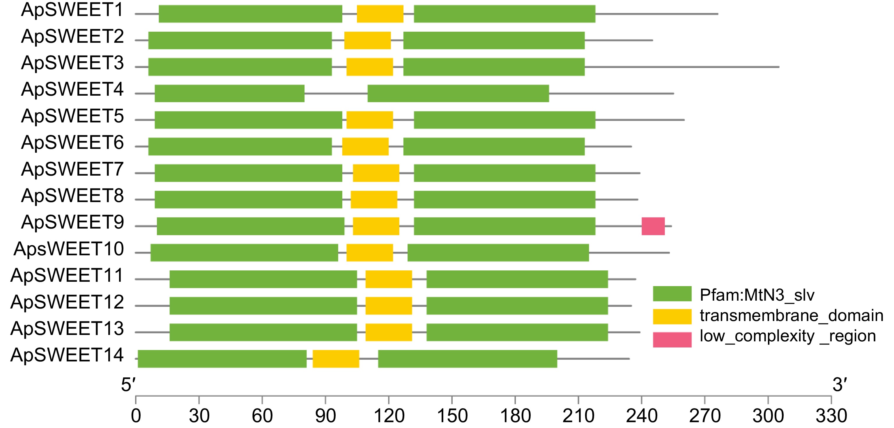 Genome-wide identification and expression profiling of the SWEET family ...
