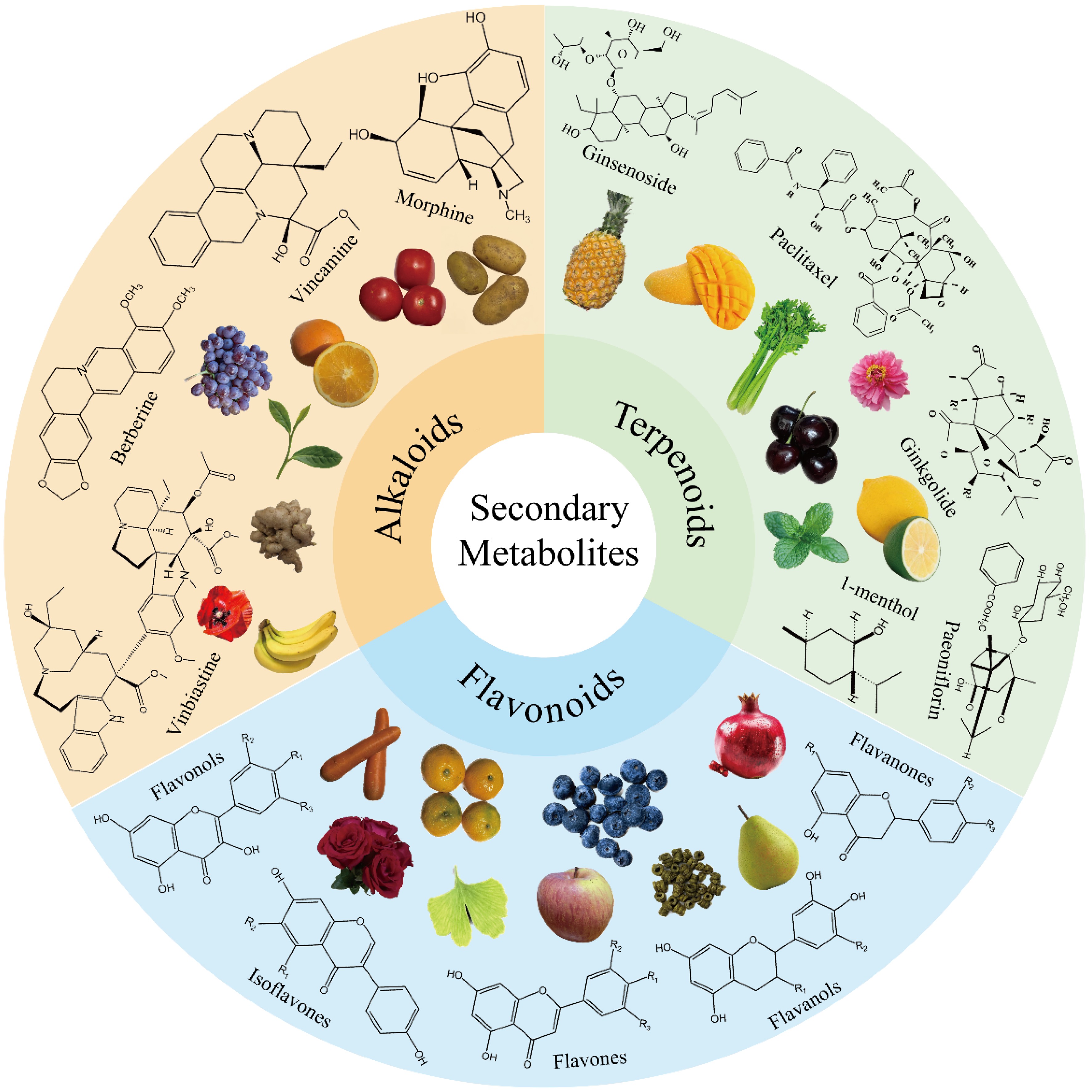 The function of secondary metabolites in resisting stresses in ...
