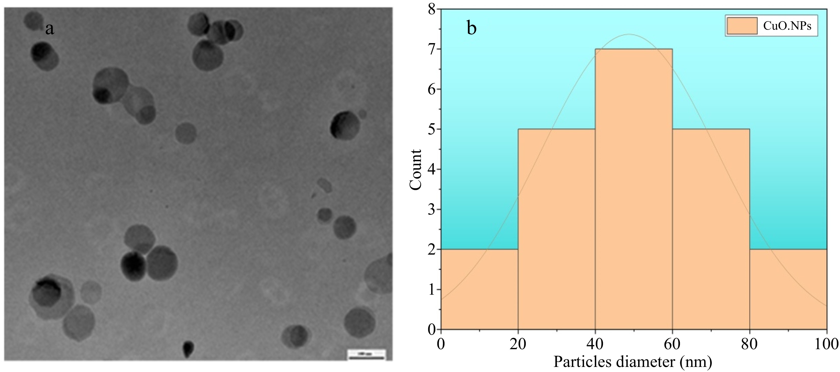 Phyto-fabrication of copper oxide nanoparticles (NPs) utilizing the ...