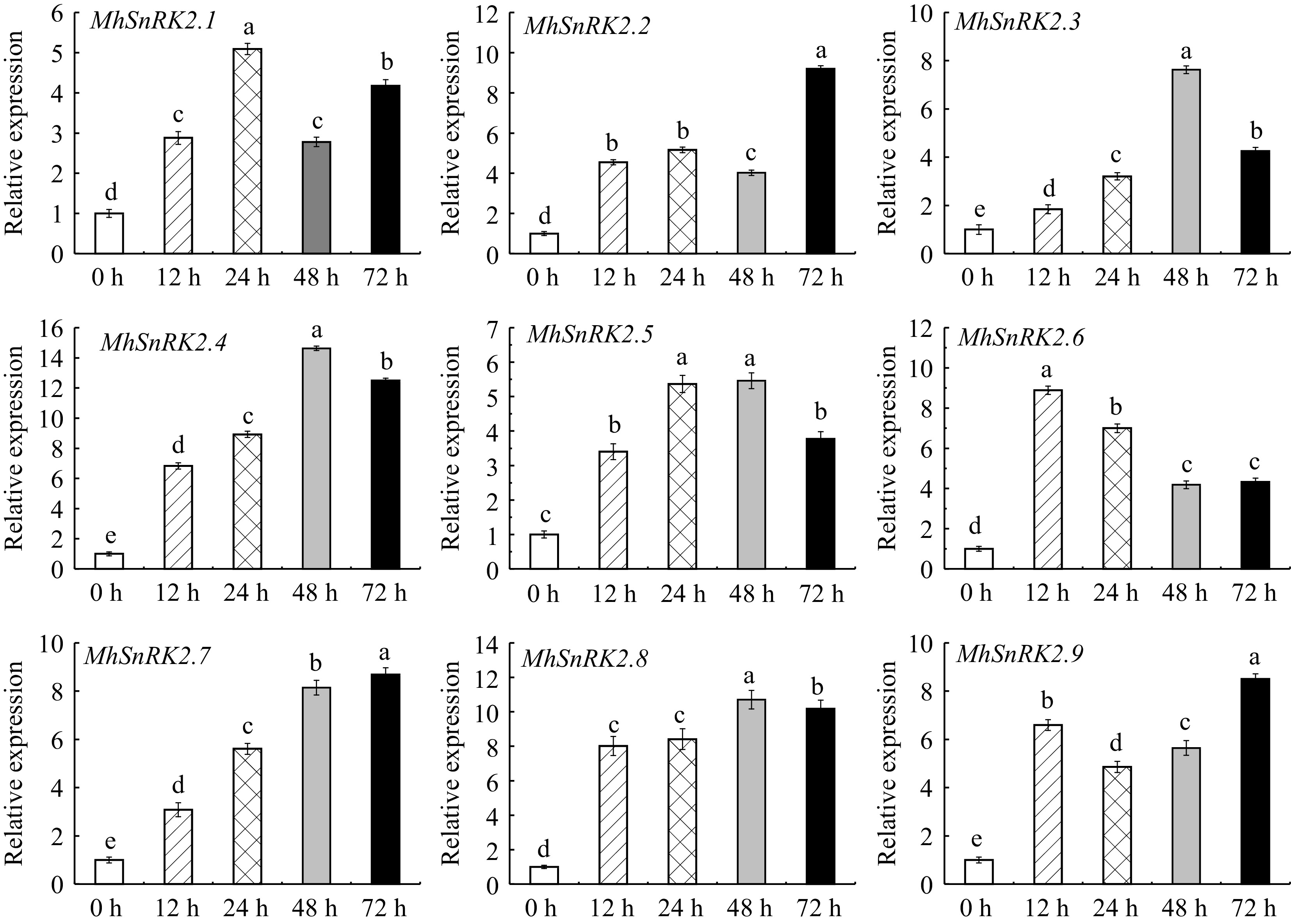 Functional identification of protein kinase MhSnRK2.4 involved in Fe ...