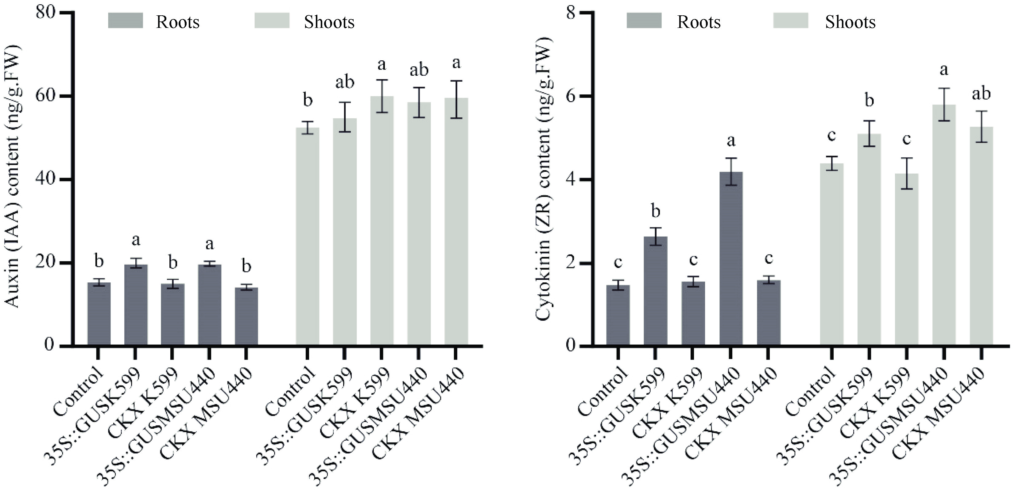 Improving the root system of apple rootstocks based on Agrobacterium ...