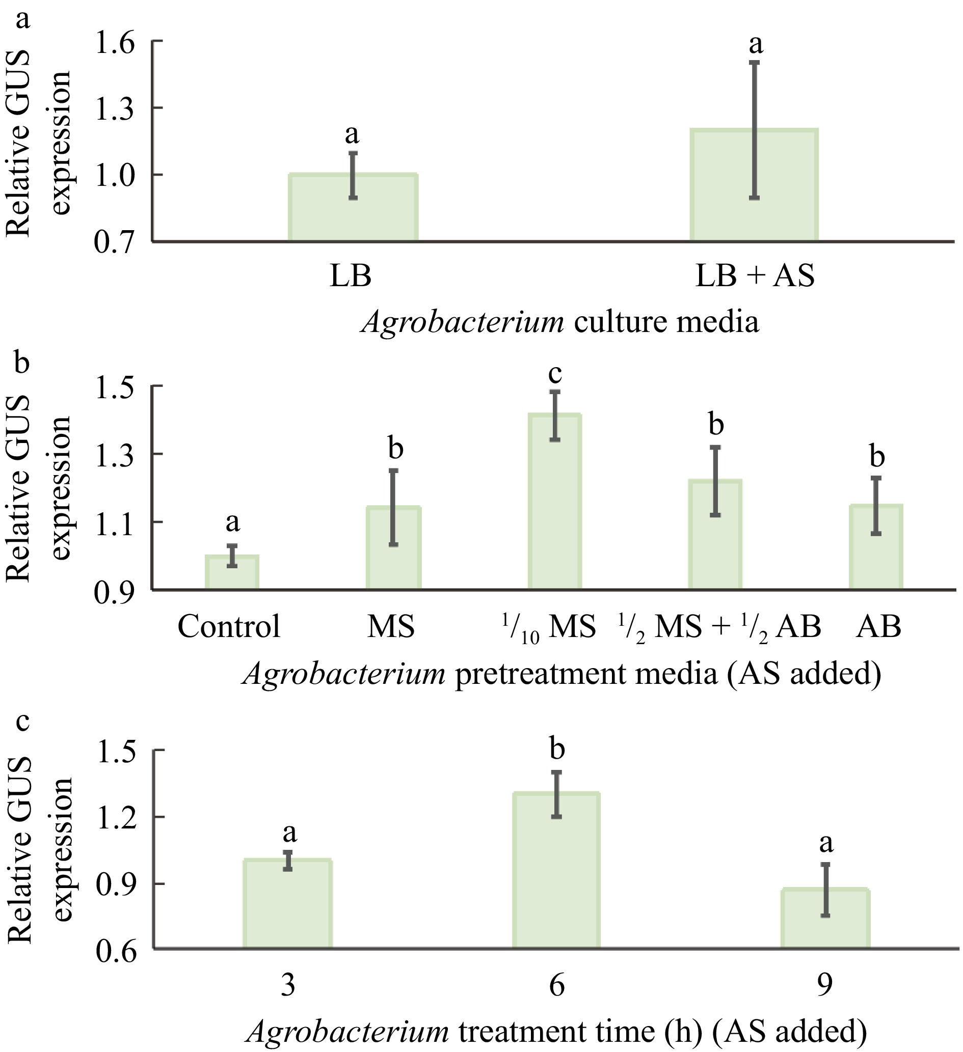 A novel and efficient Agrobacterium -mediated transient gene expression ...