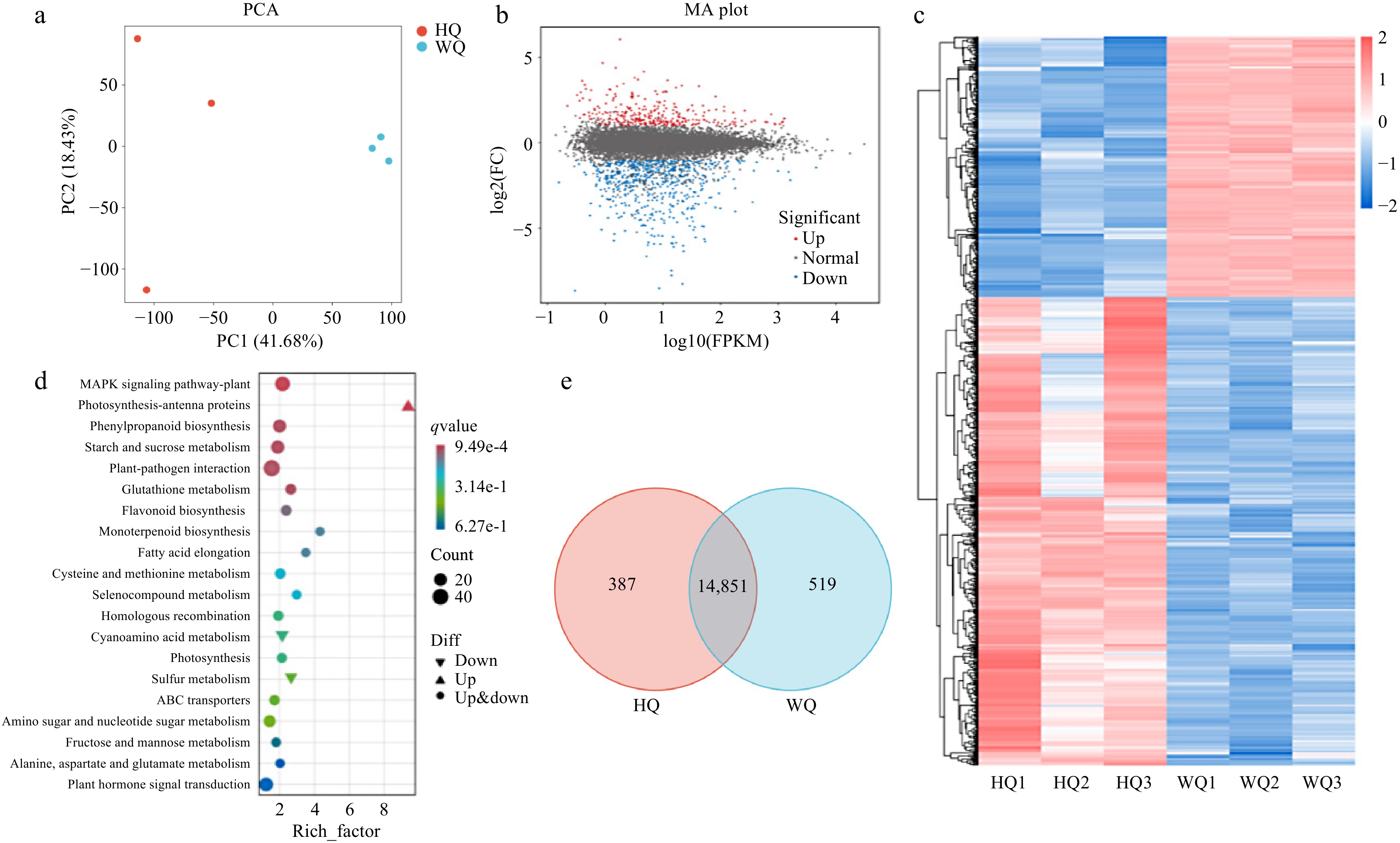 Integrated transcriptomic and metabolomic analysis reveals light-induced modulation of ...