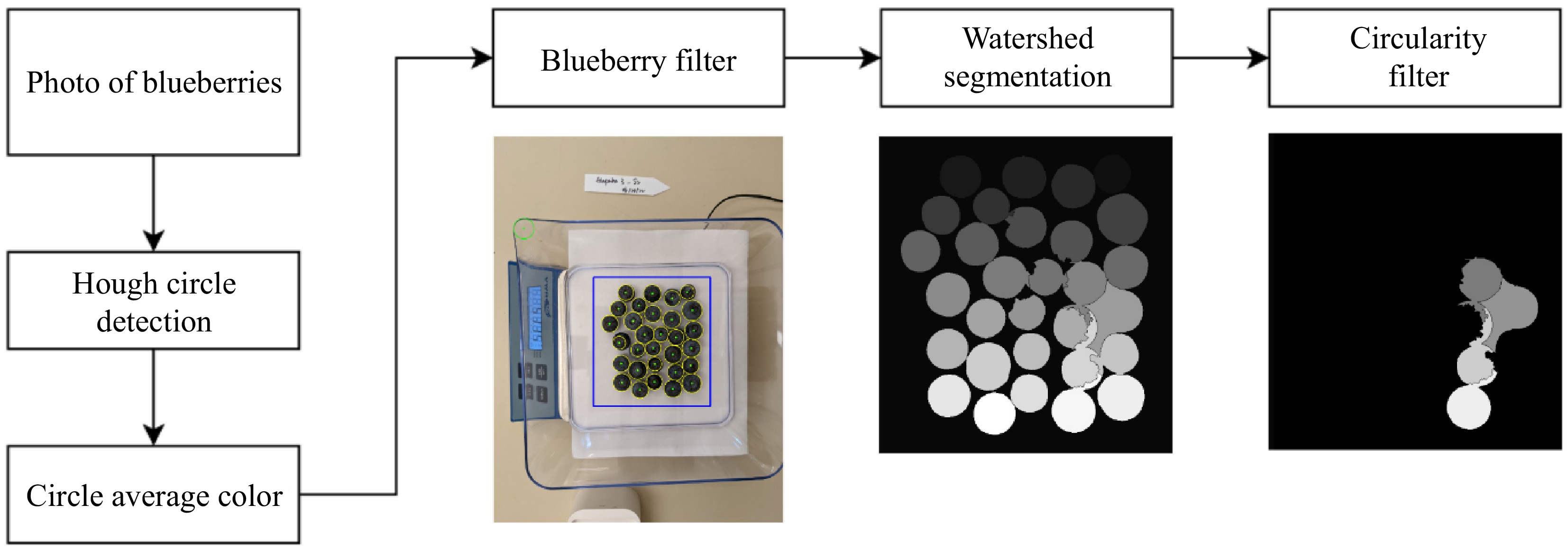 High-throughput phenotyping tools for blueberry count, weight, and size ...