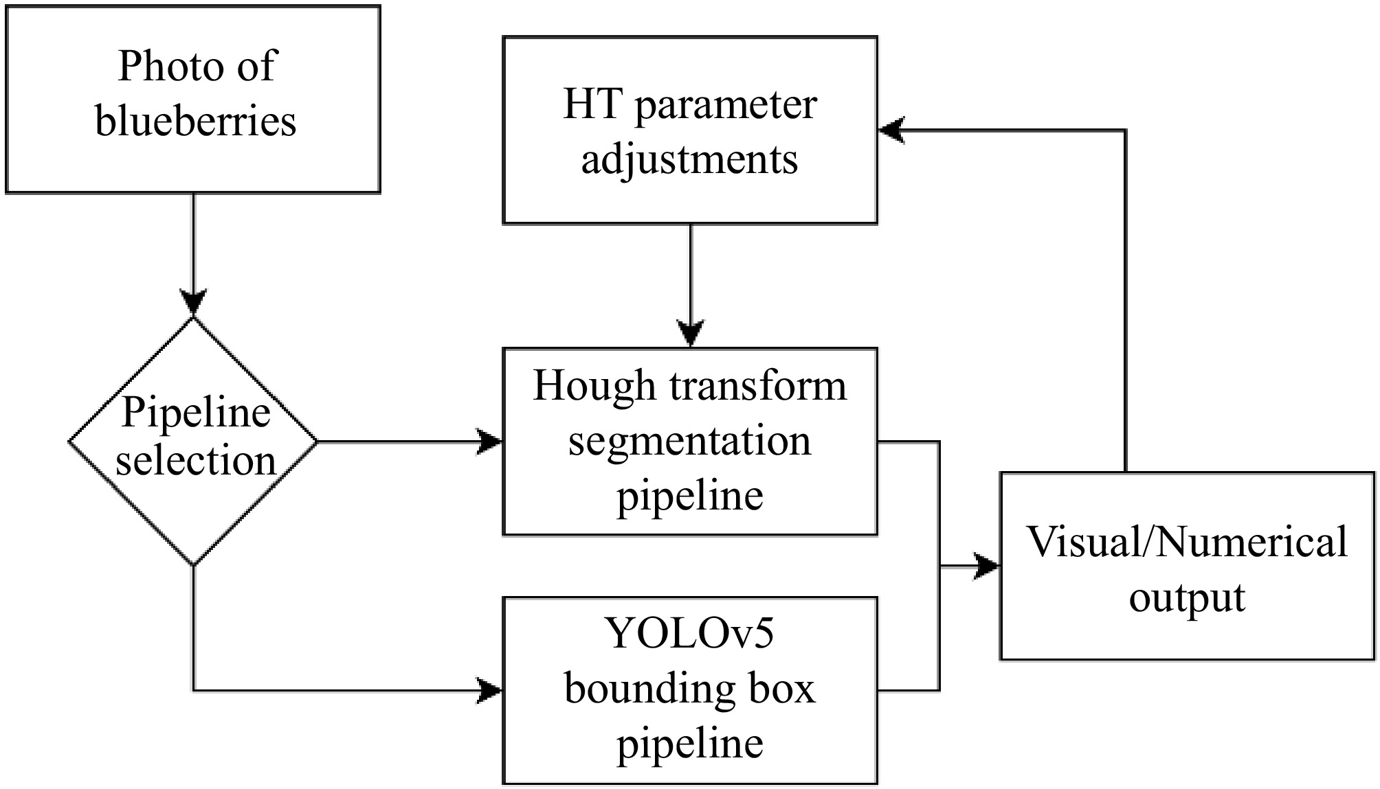 High-throughput phenotyping tools for blueberry count, weight, and size ...
