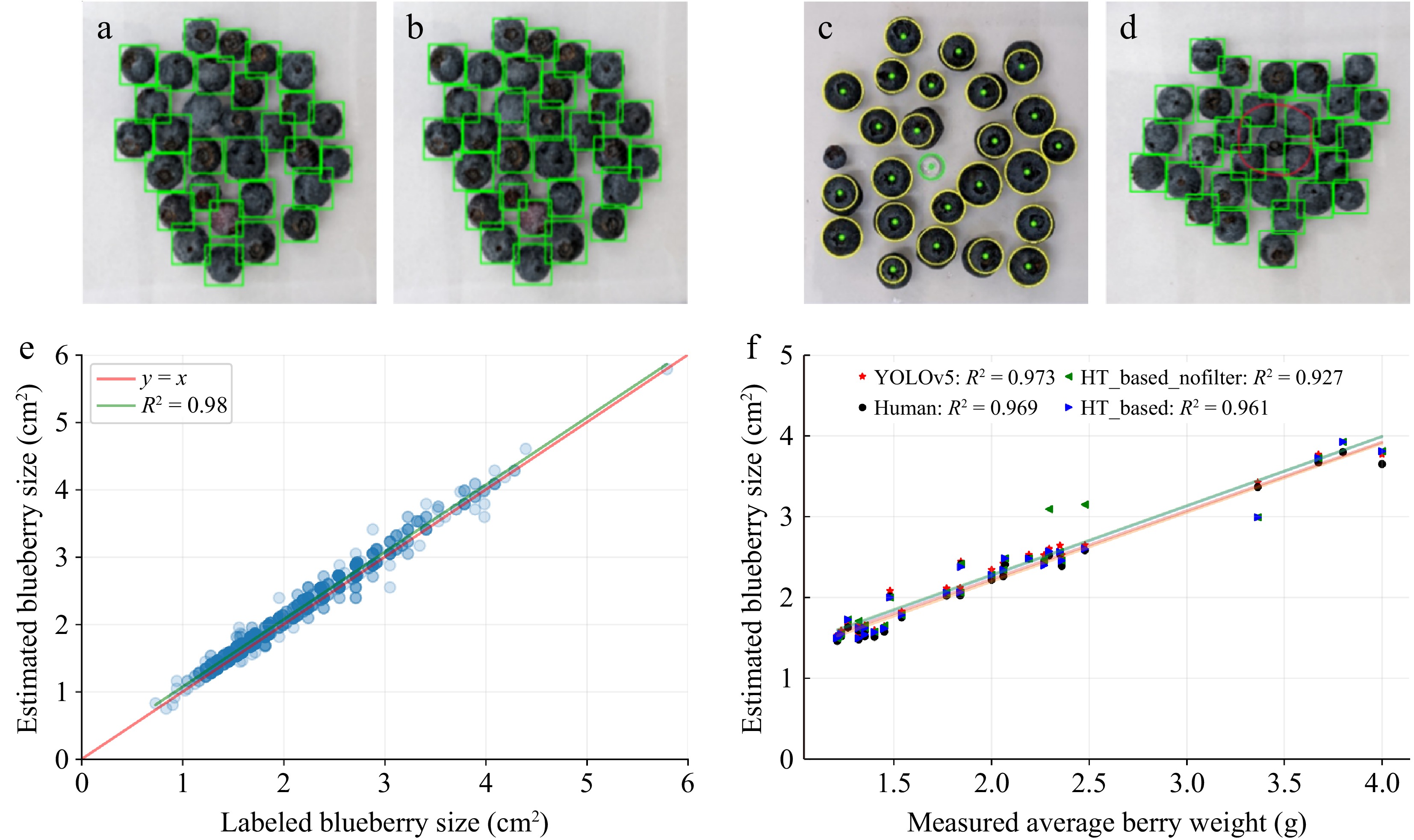 High-throughput phenotyping tools for blueberry count, weight, and size ...